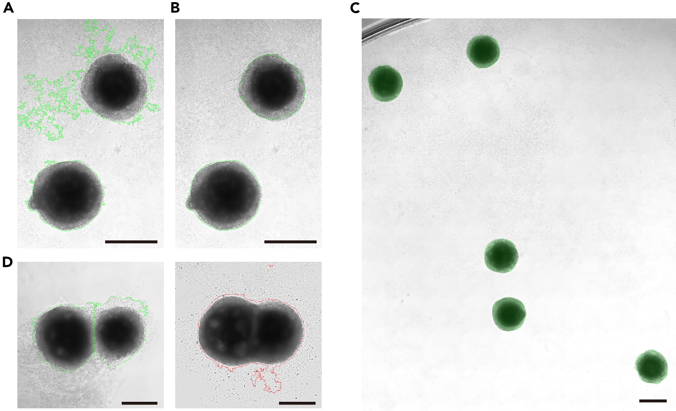 Cell Press: STAR Protocols