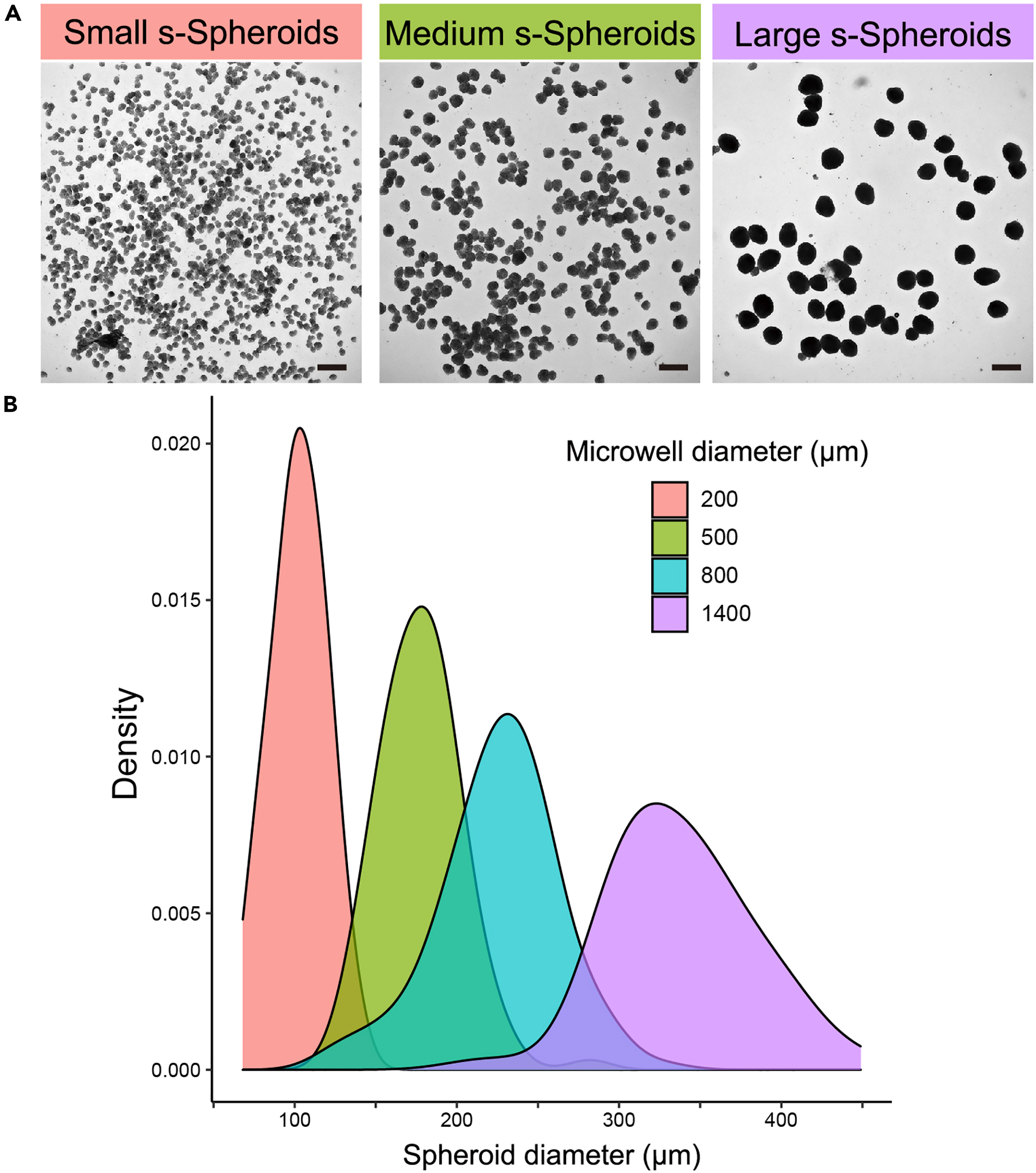 Cell Press: STAR Protocols