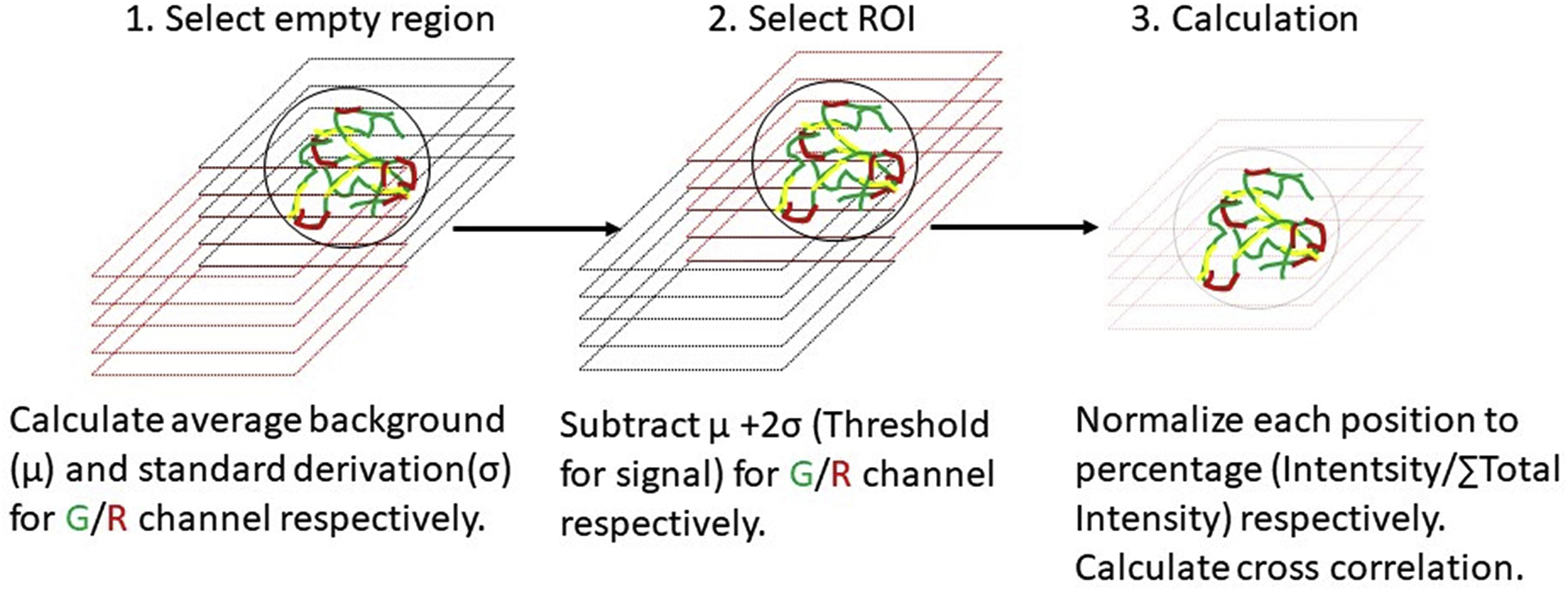 Cell Press: STAR Protocols