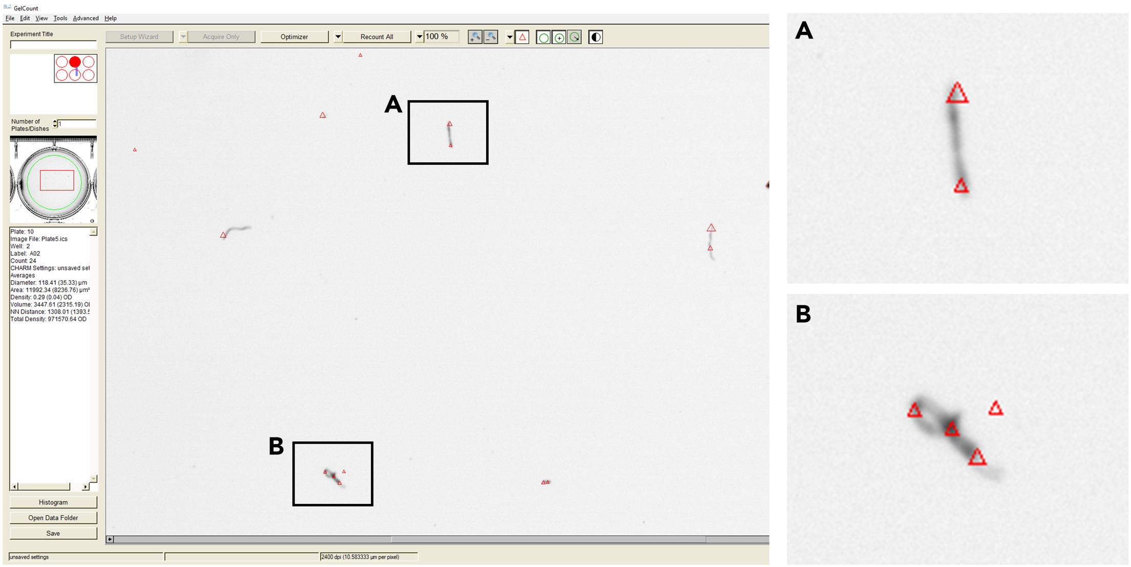 Cell Press: STAR Protocols