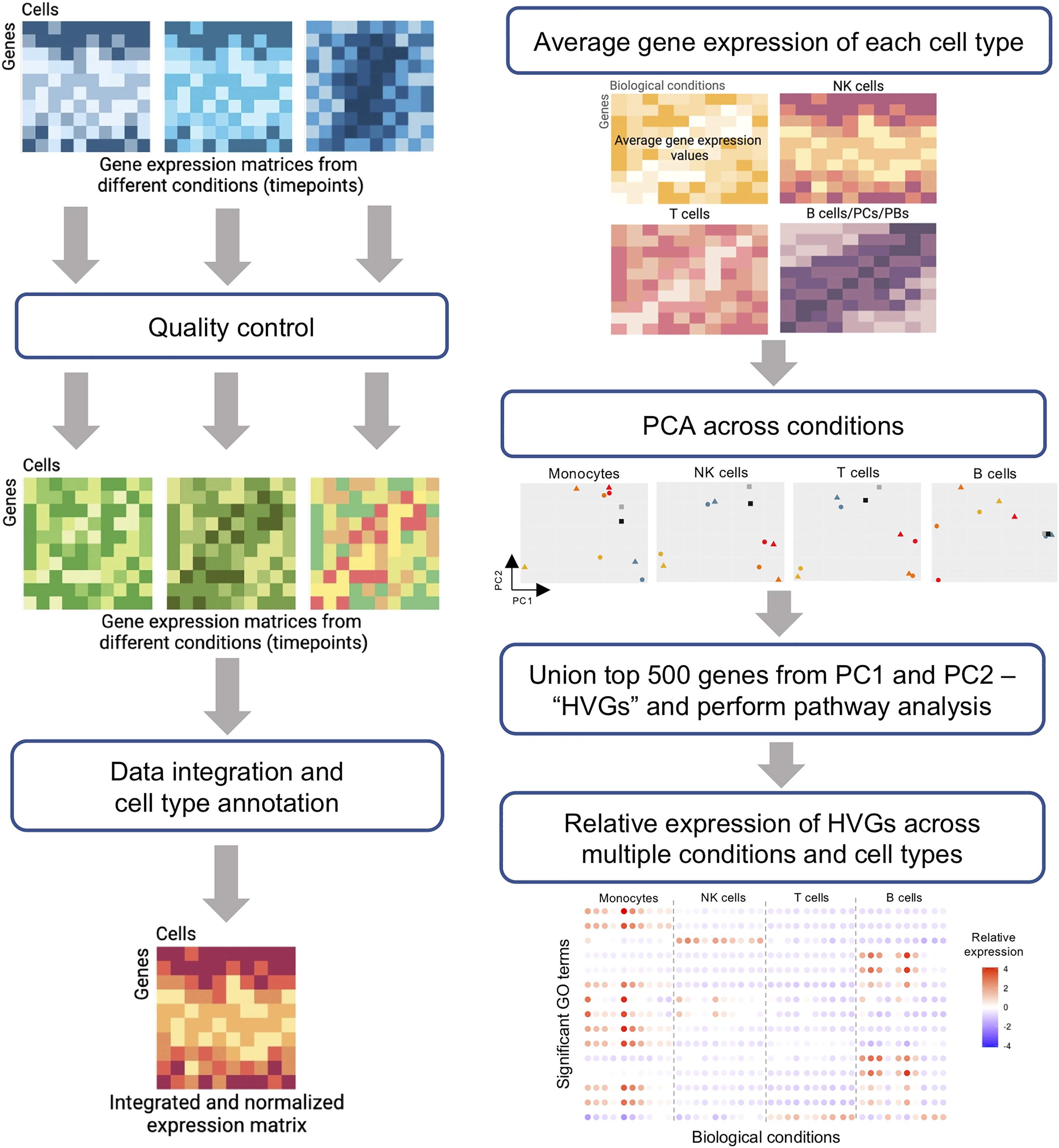 Cell Press: STAR Protocols