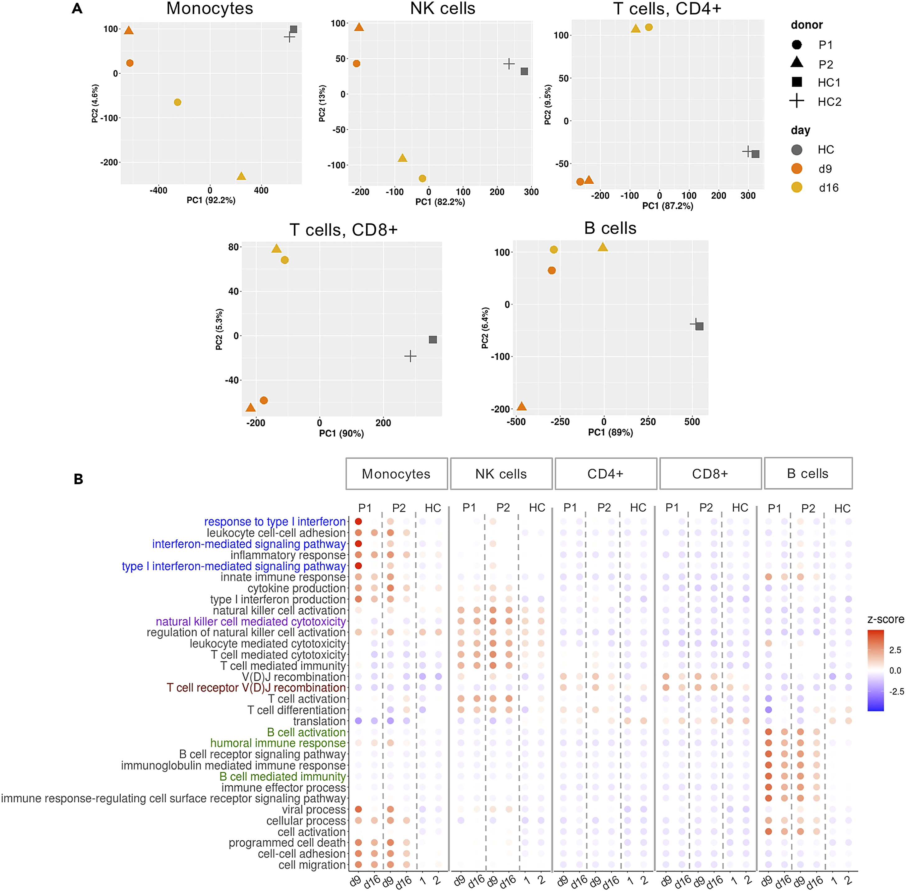Cell Press: STAR Protocols