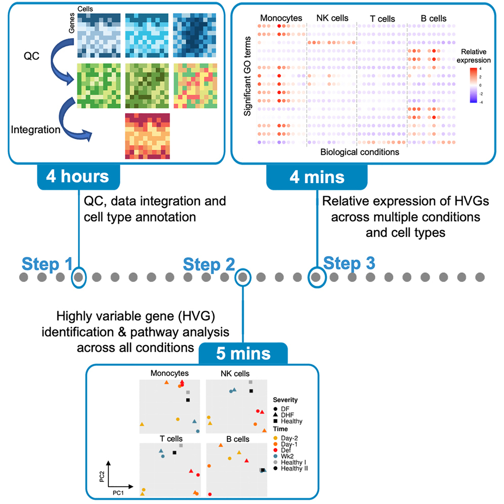Cell Press: STAR Protocols