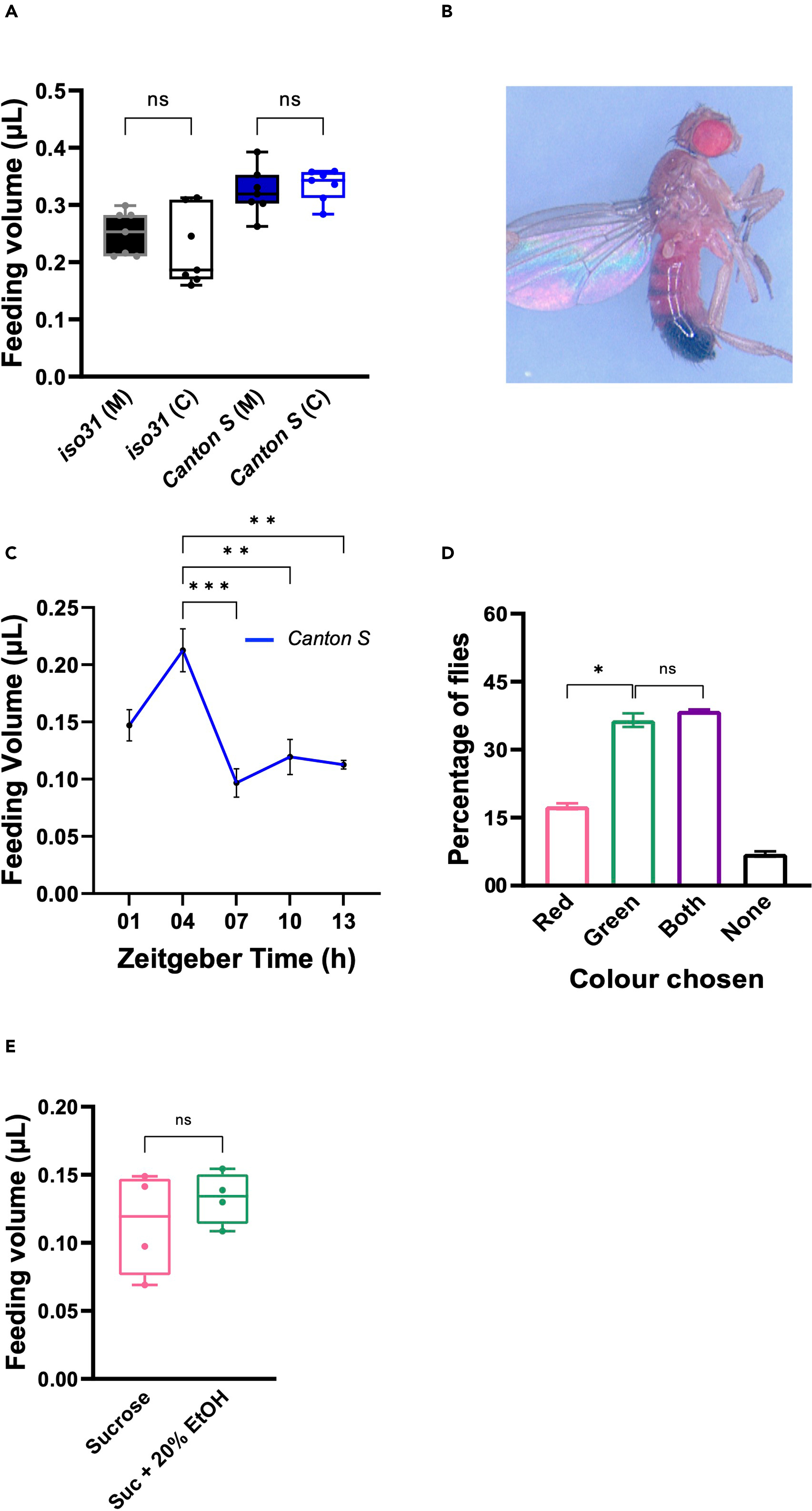 Cell Press: STAR Protocols