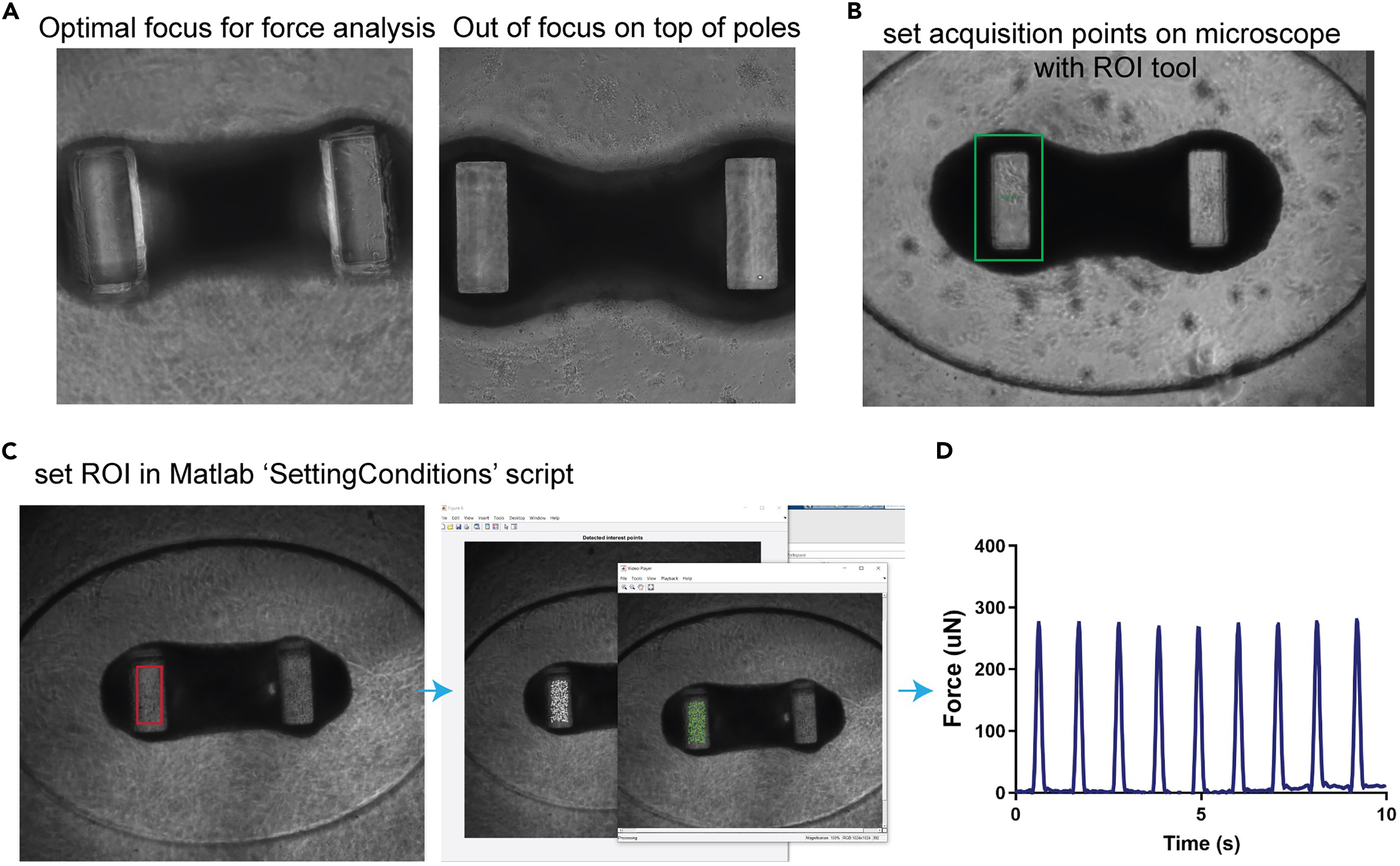 Cell Press: STAR Protocols