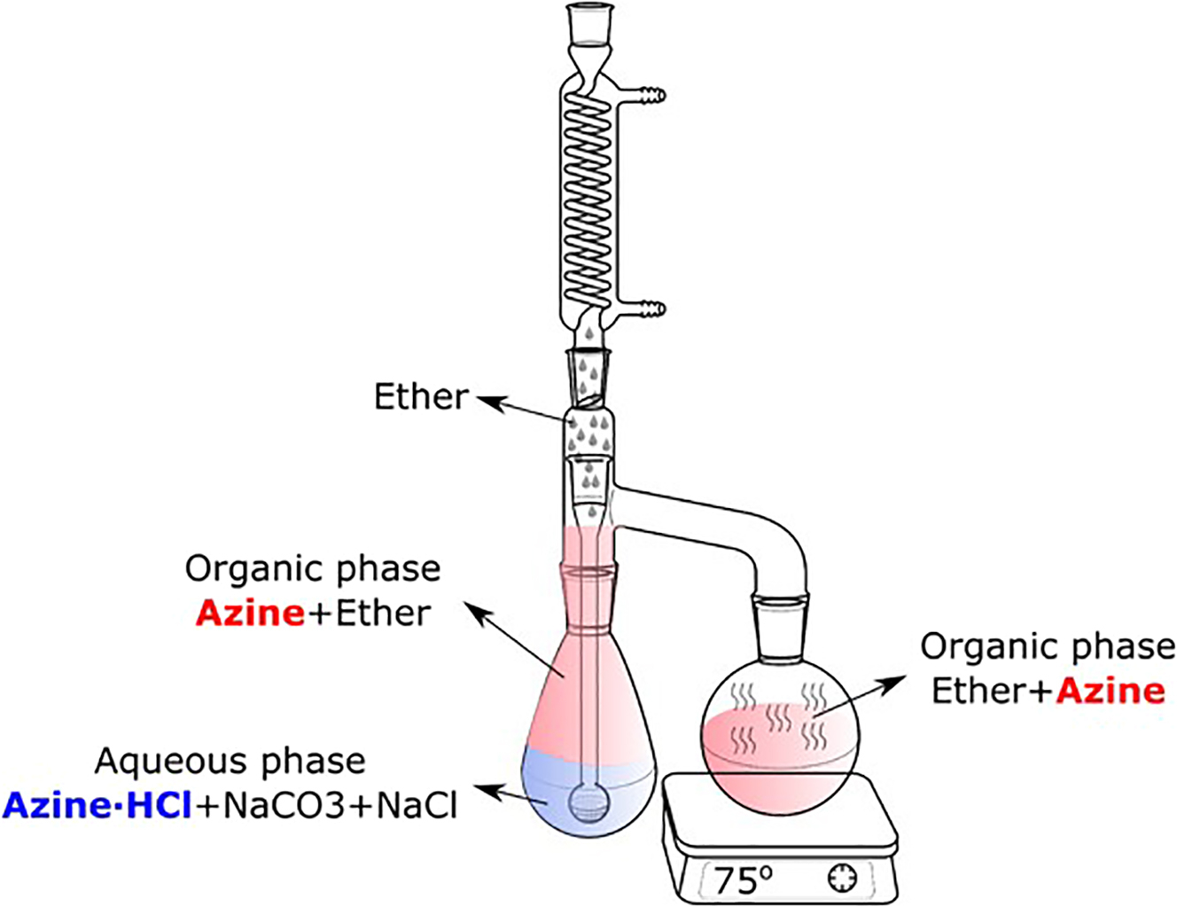 Cell Press: STAR Protocols