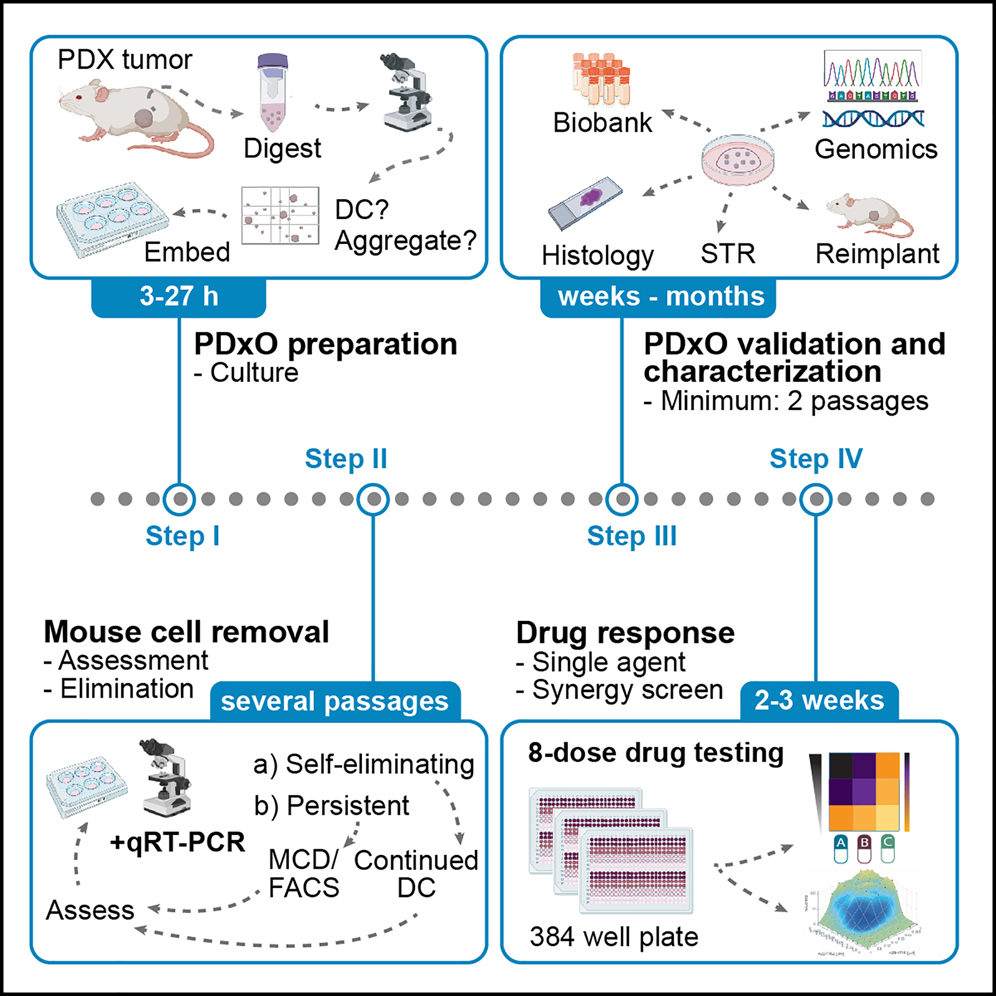 Cell Press: STAR Protocols