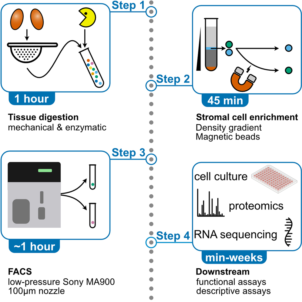 Cell Press: STAR Protocols