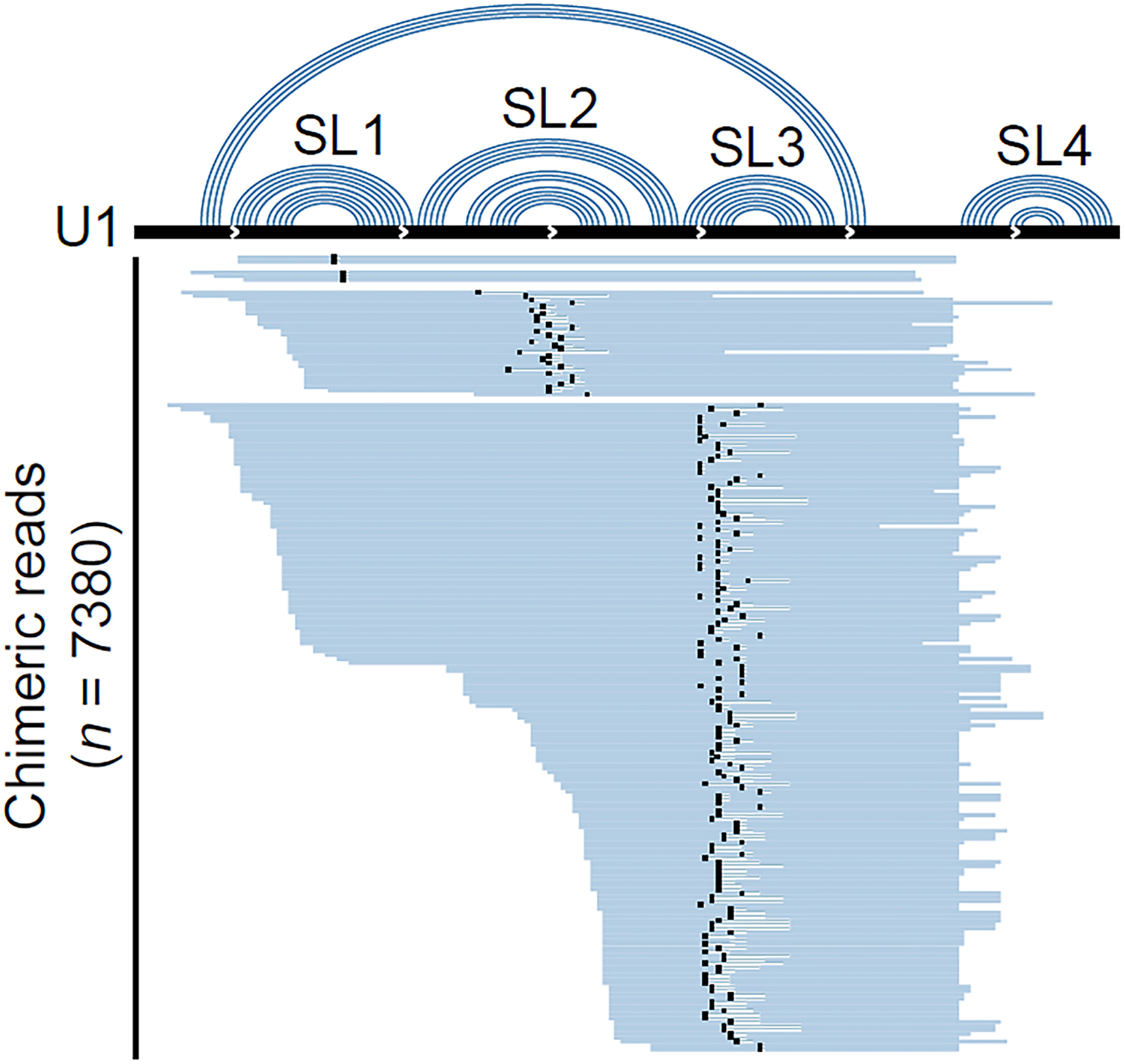 Cell Press: STAR Protocols