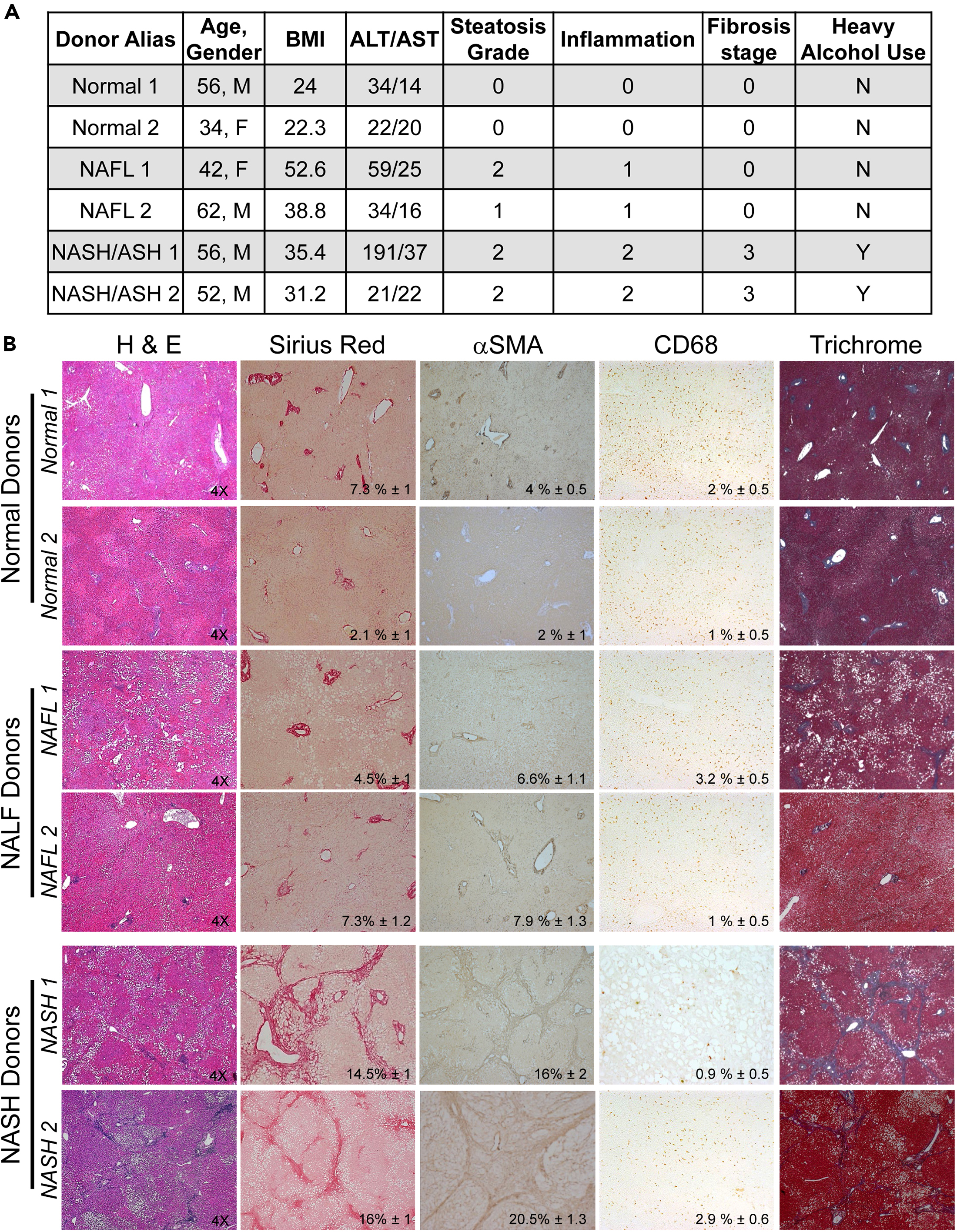 Cell Press: STAR Protocols