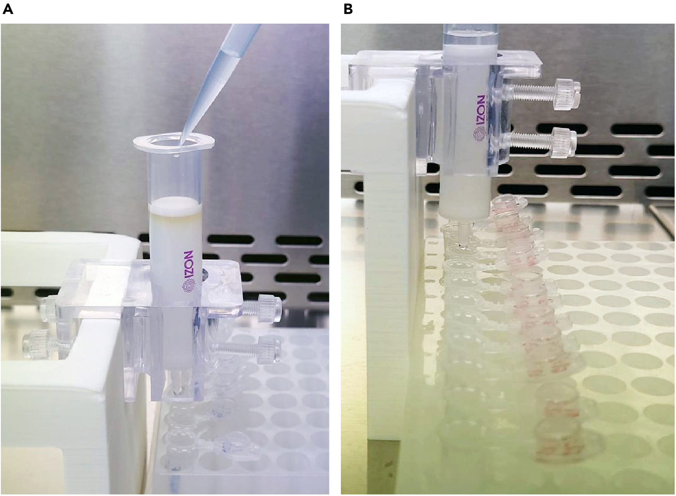 Cell Press: STAR Protocols