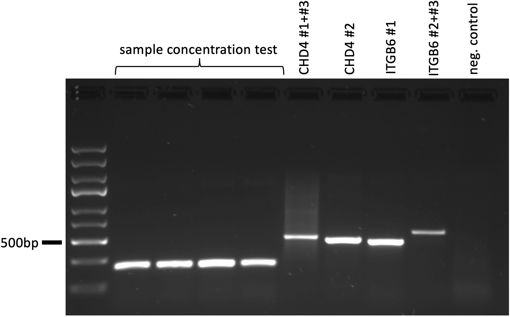 Cell Press: STAR Protocols