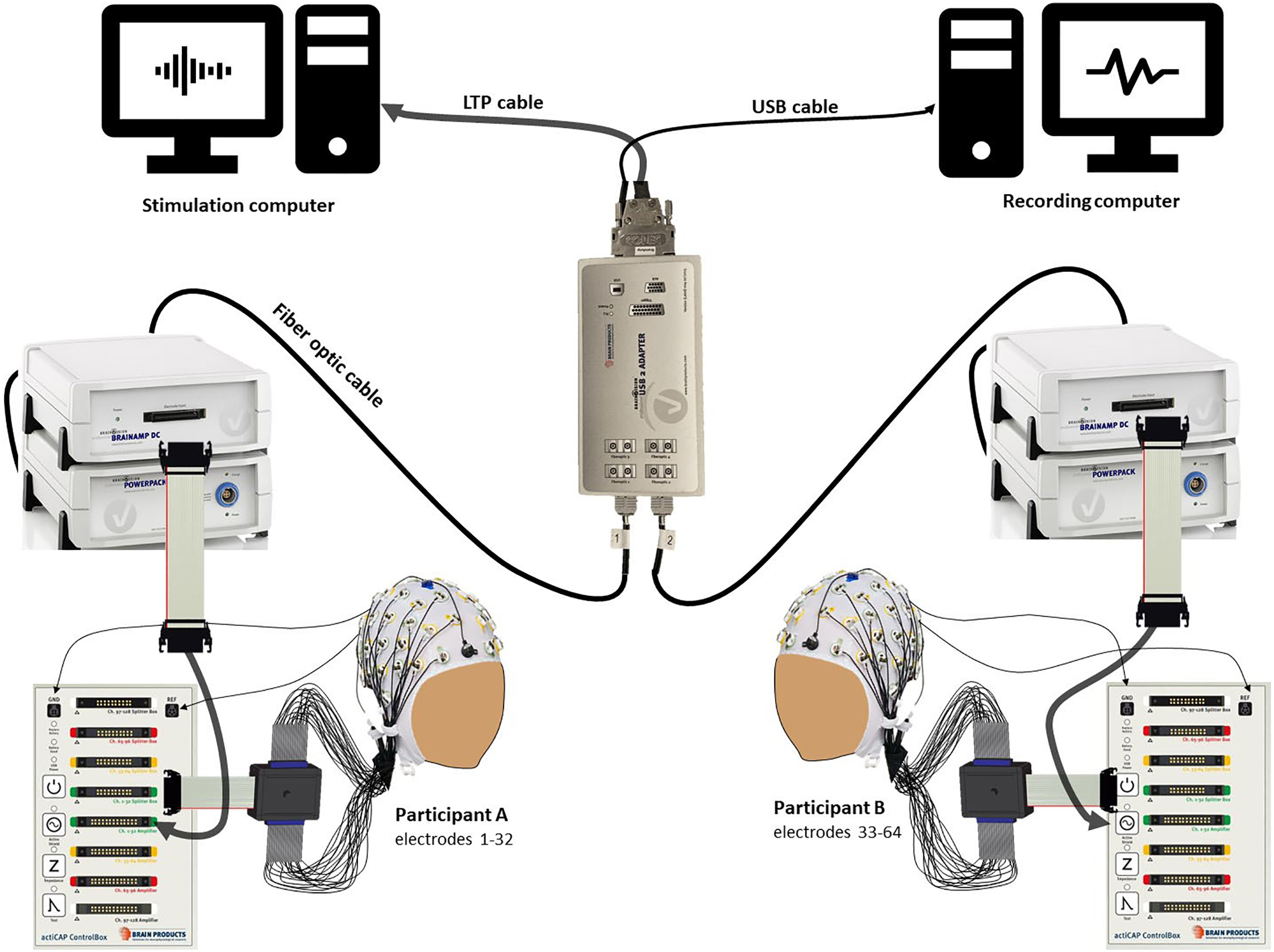 Cell Press: STAR Protocols