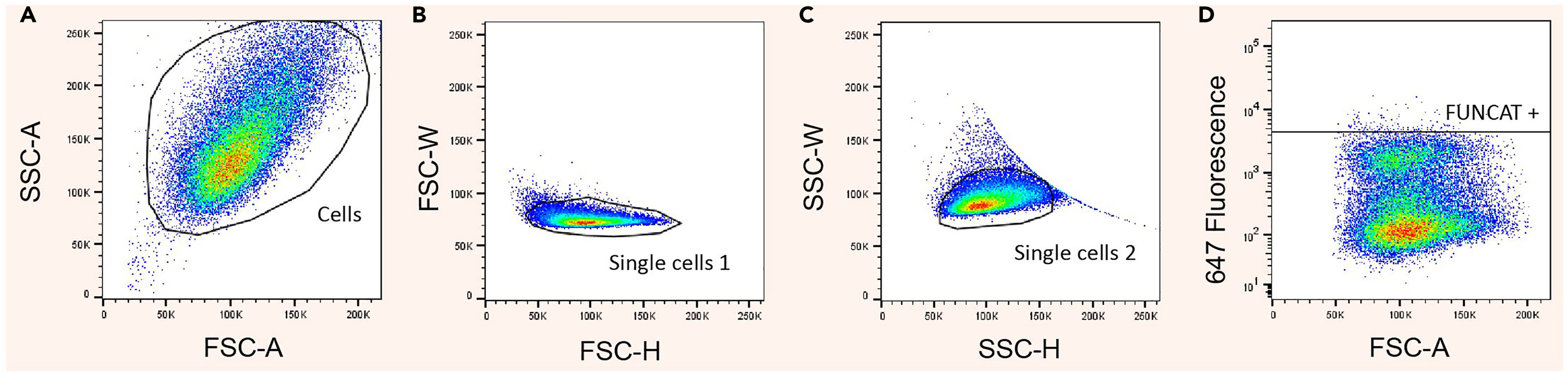 Cell Press: STAR Protocols