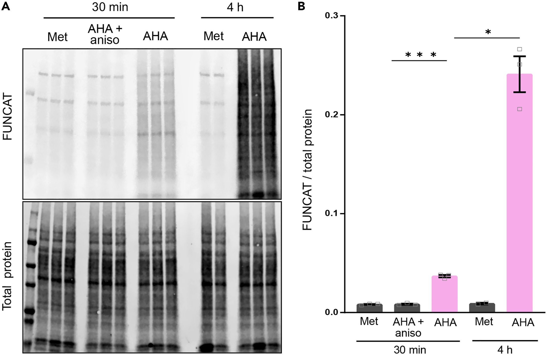 Cell Press: STAR Protocols