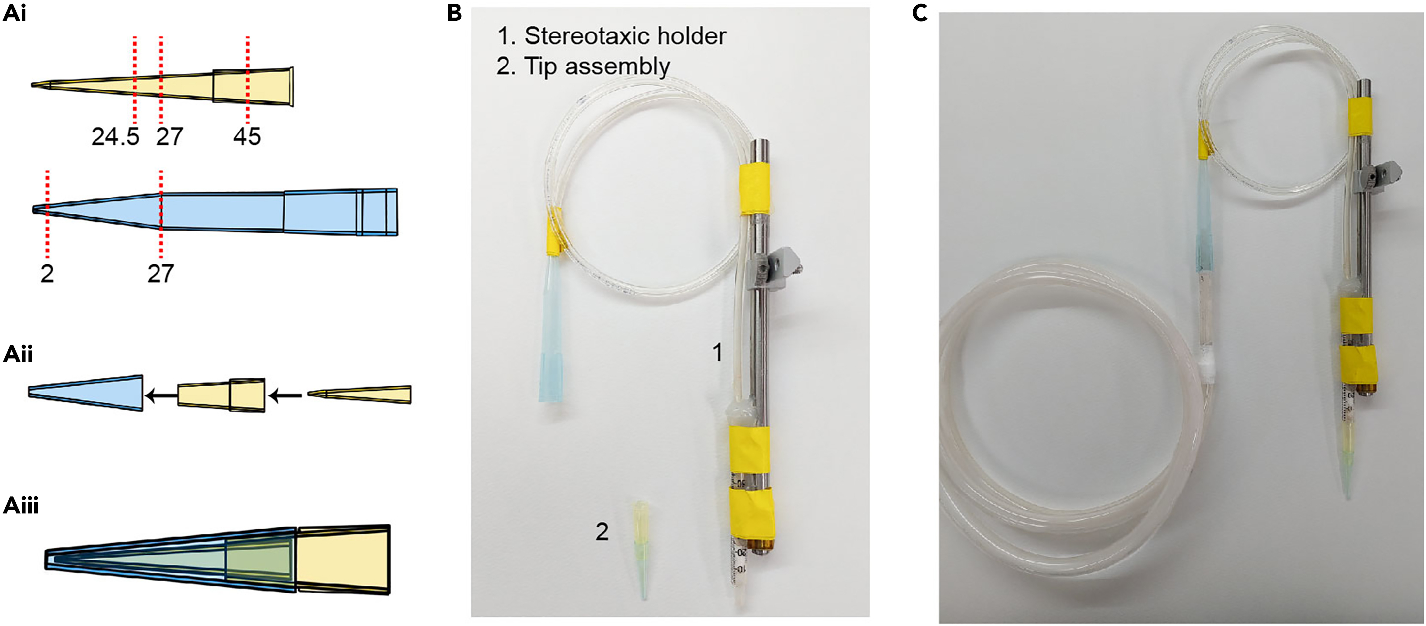 Cell Press: STAR Protocols