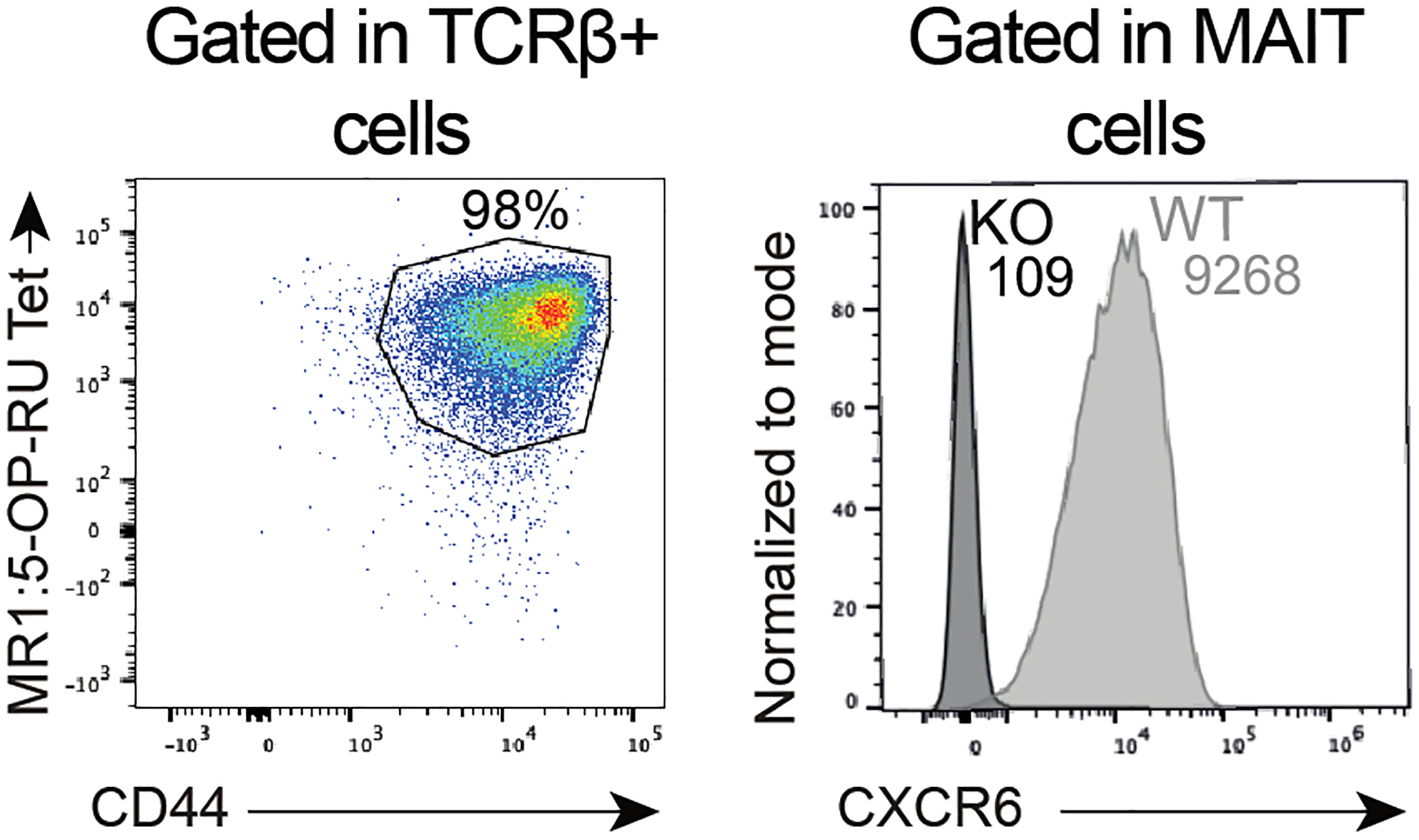 Cell Press: STAR Protocols