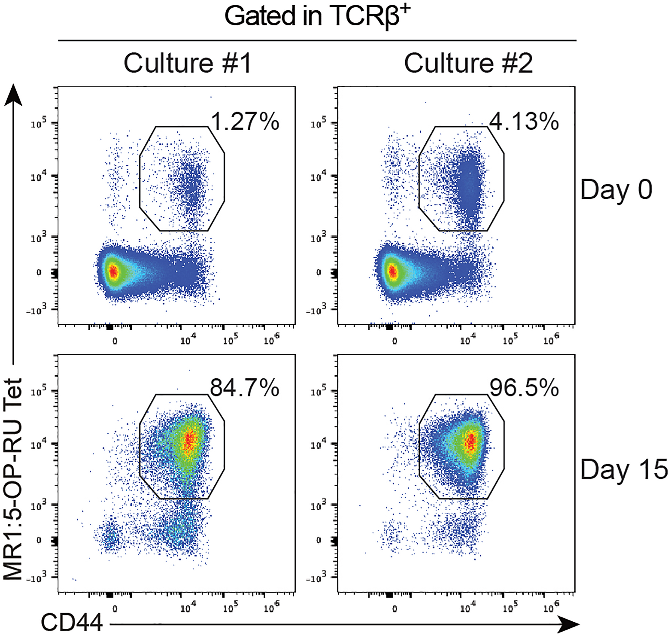 Cell Press: STAR Protocols
