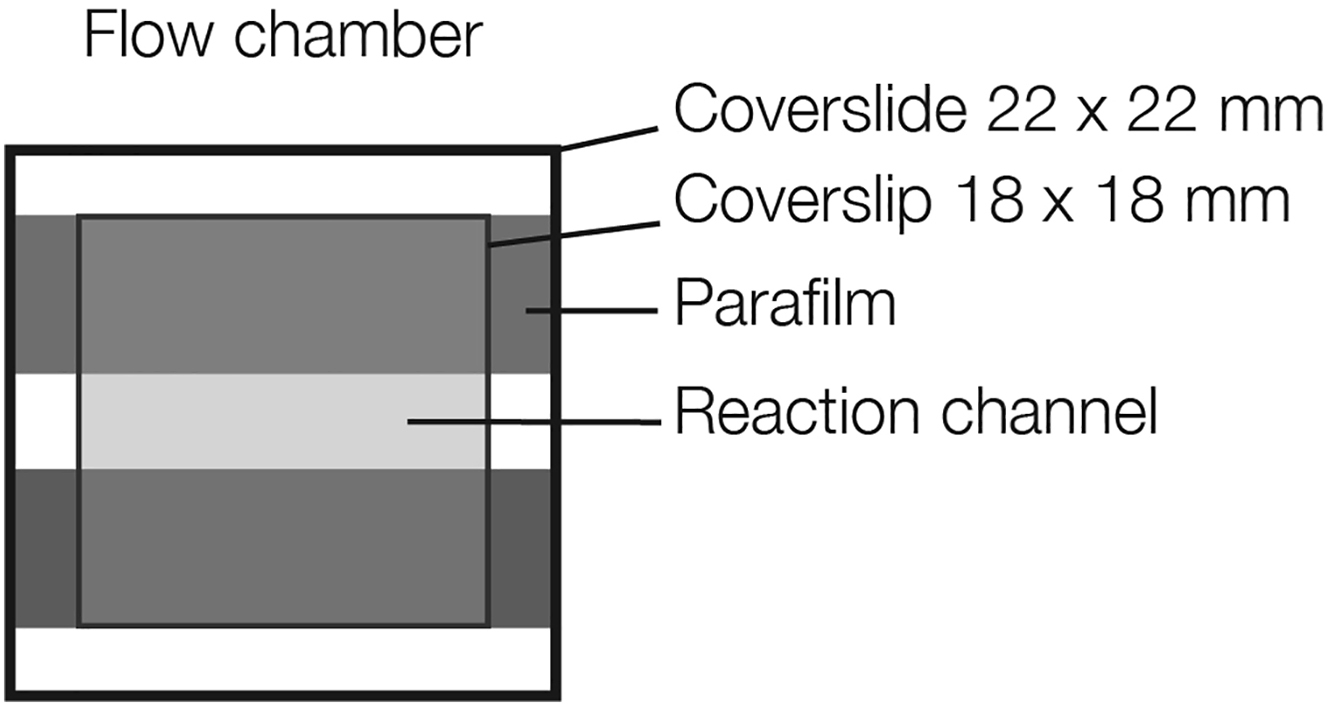 Cell Press: STAR Protocols