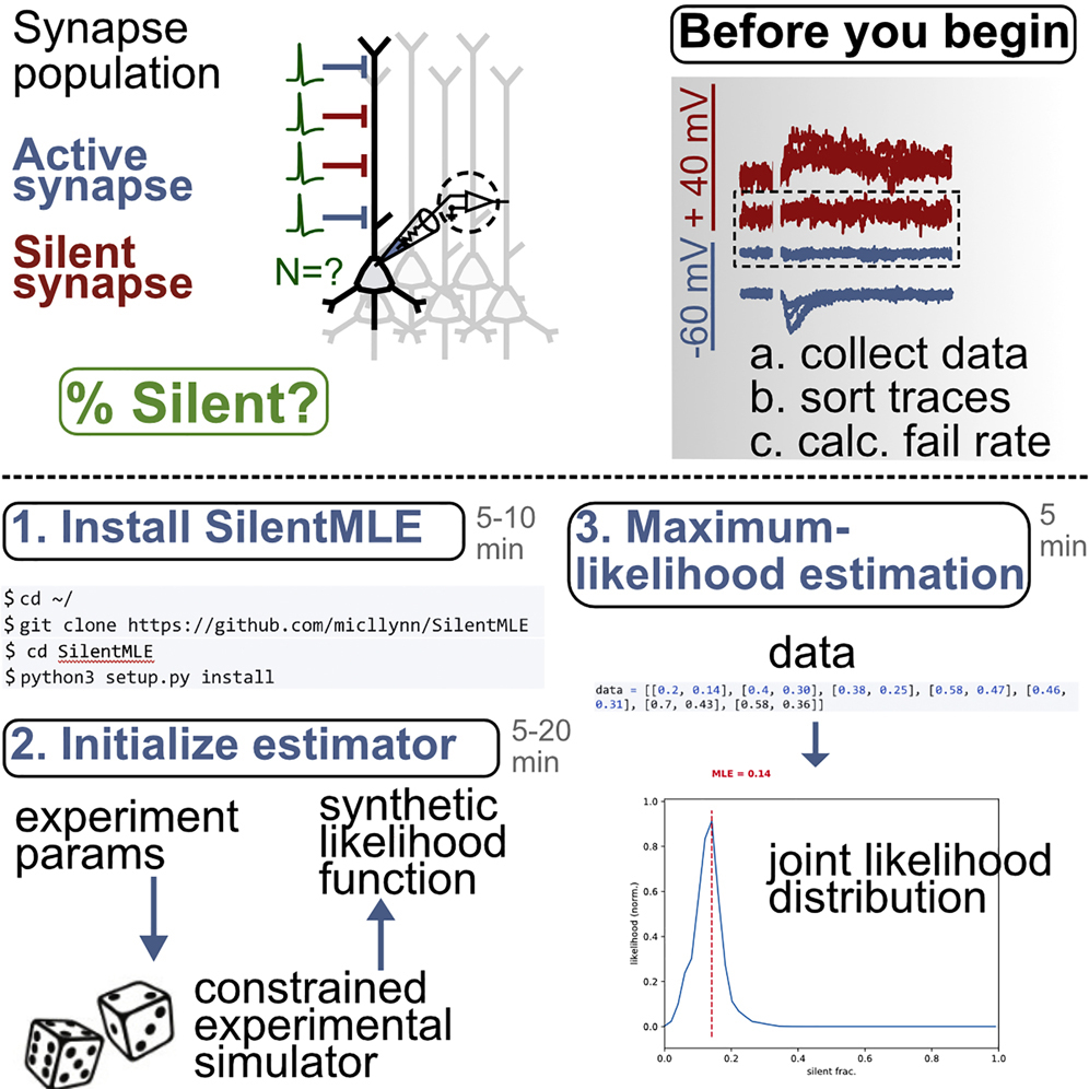 Cell Press: STAR Protocols