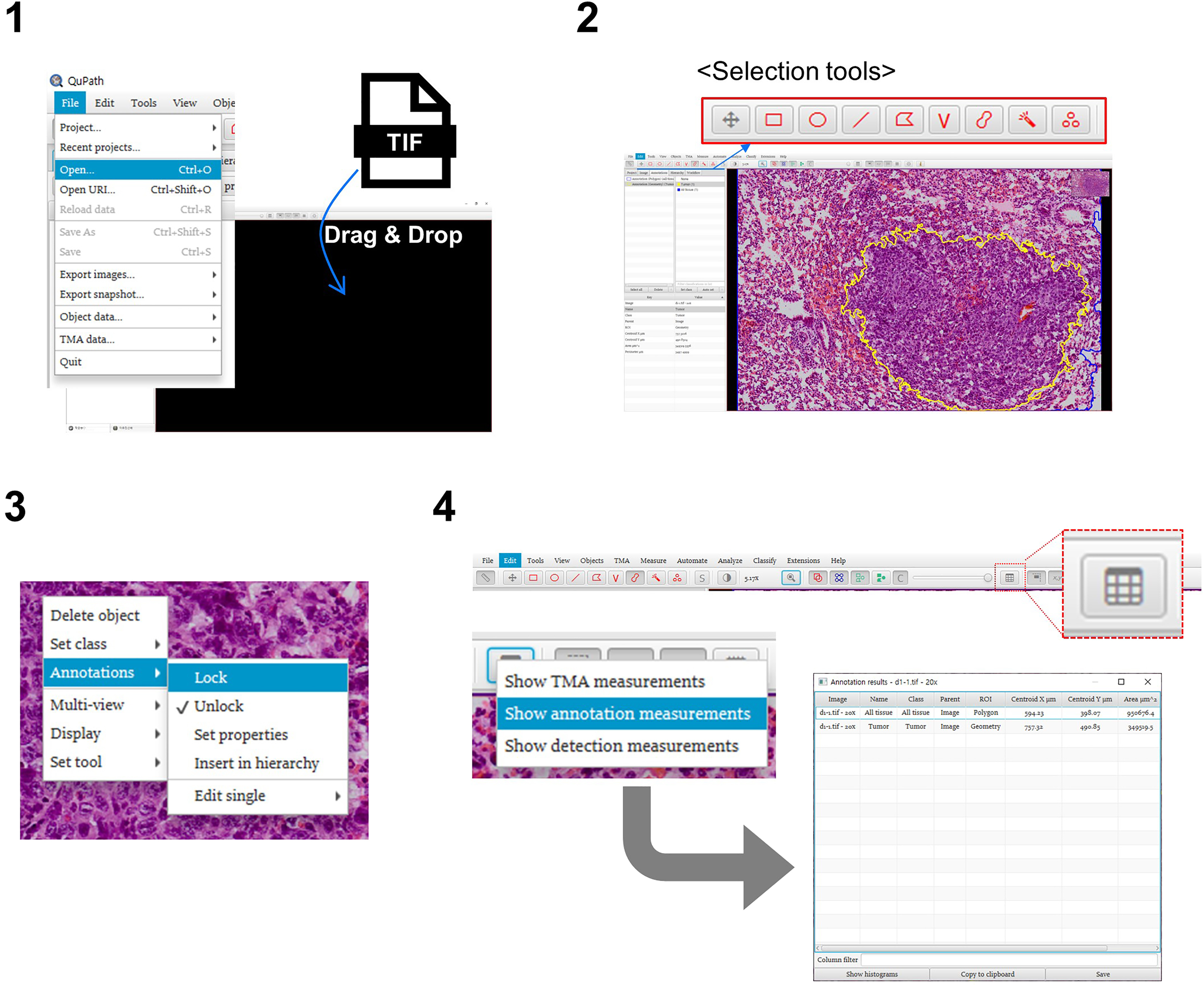 Cell Press: STAR Protocols