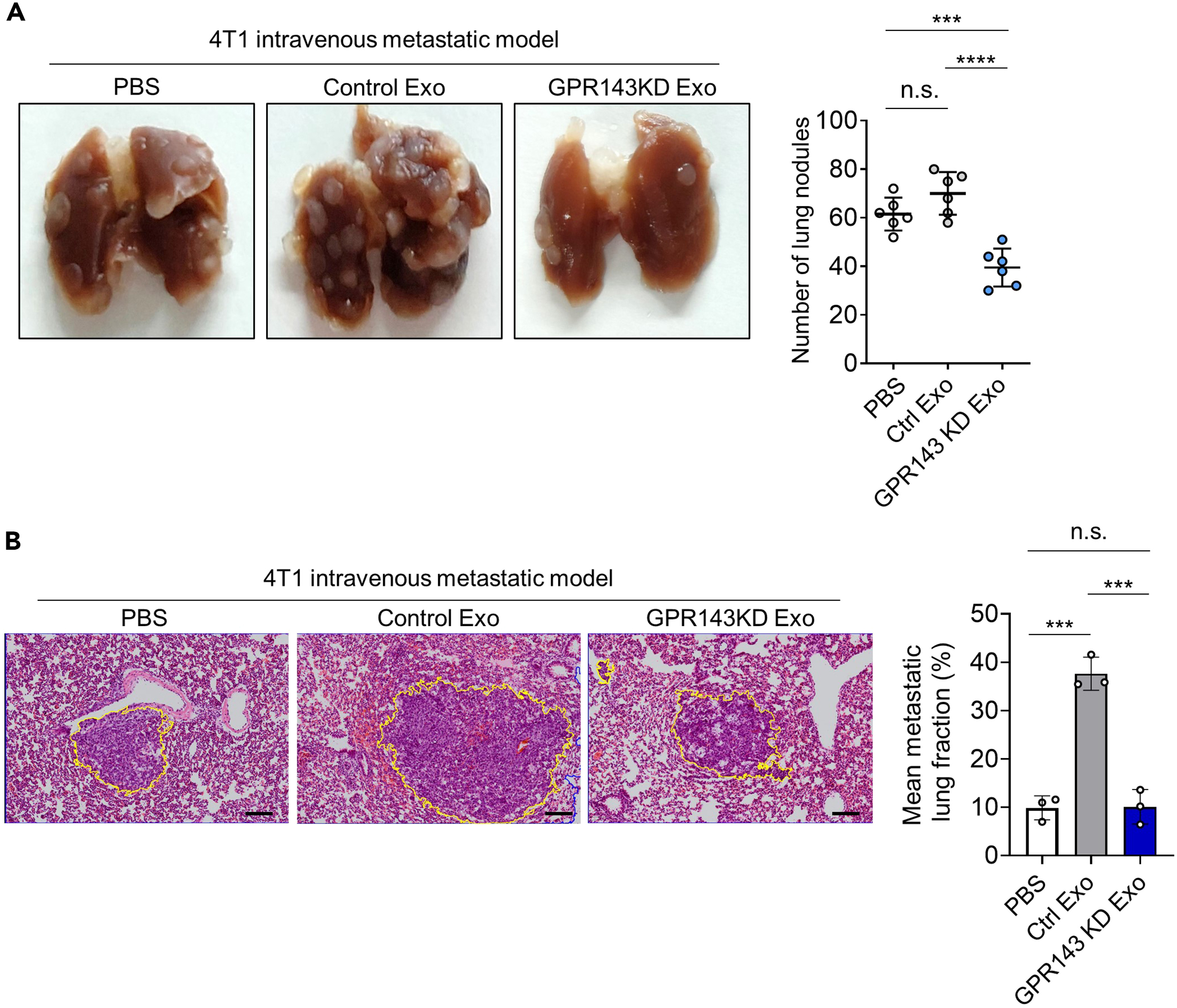 Cell Press: STAR Protocols