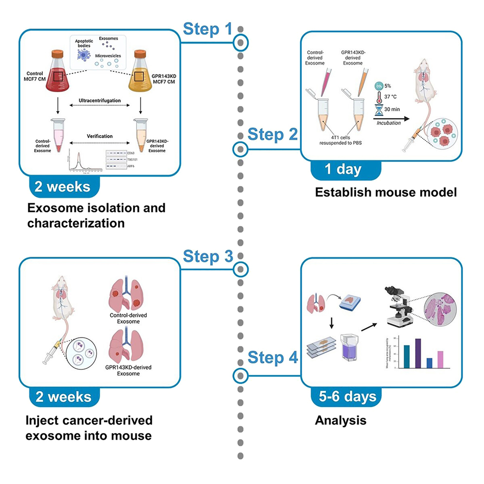Cell Press: STAR Protocols