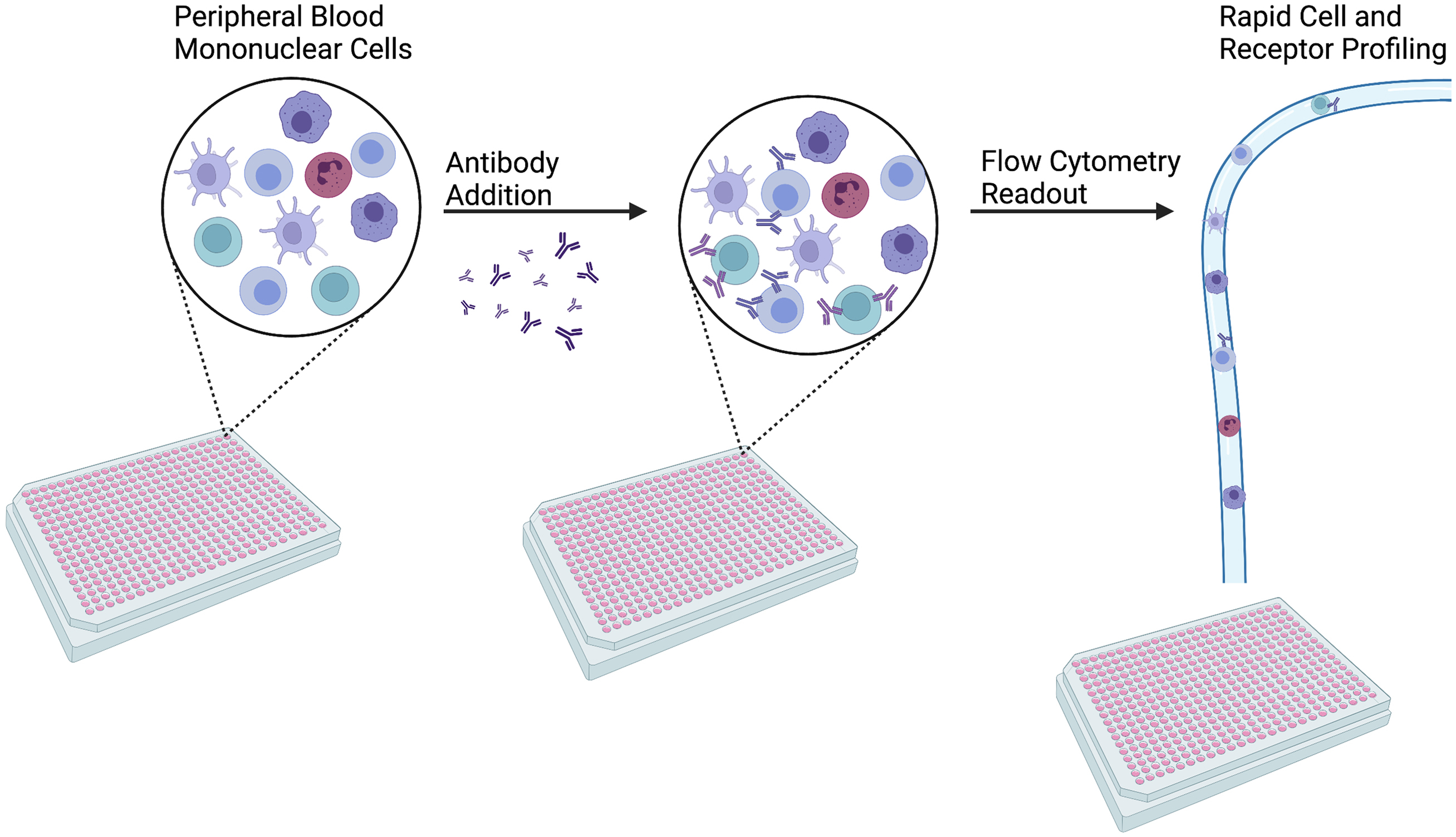 Cell Press: STAR Protocols