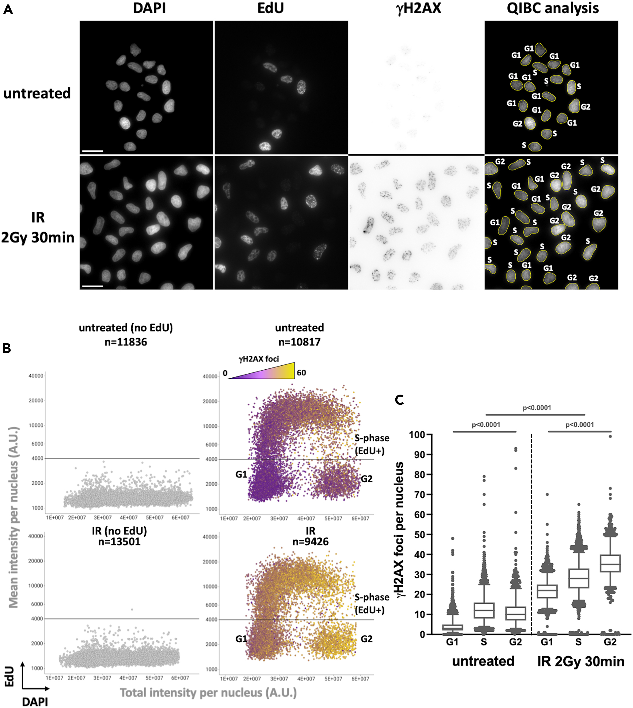 Cell Press: STAR Protocols