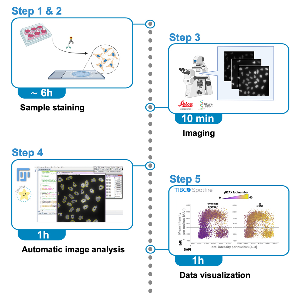 Cell Press: STAR Protocols