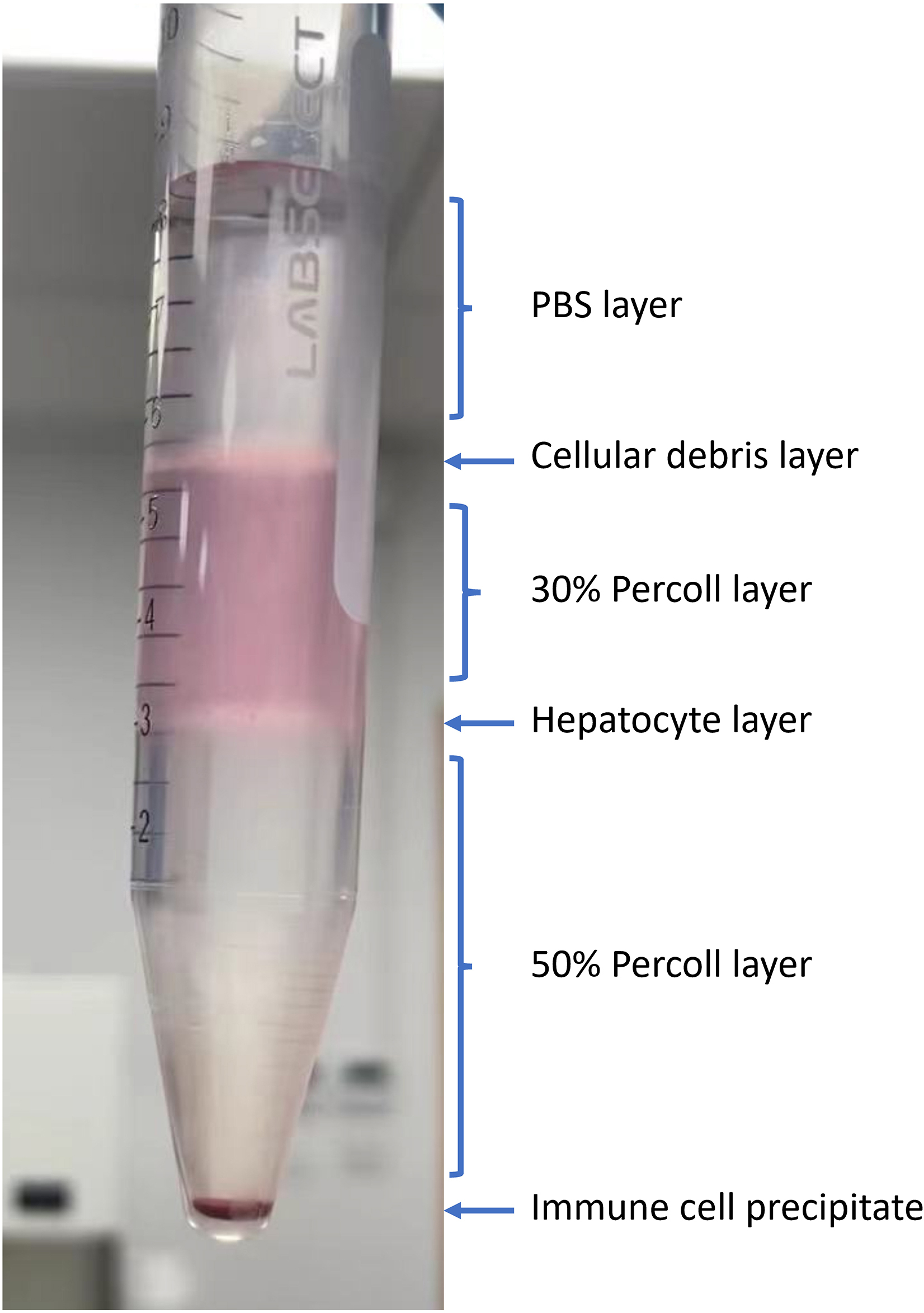 Cell Press: STAR Protocols
