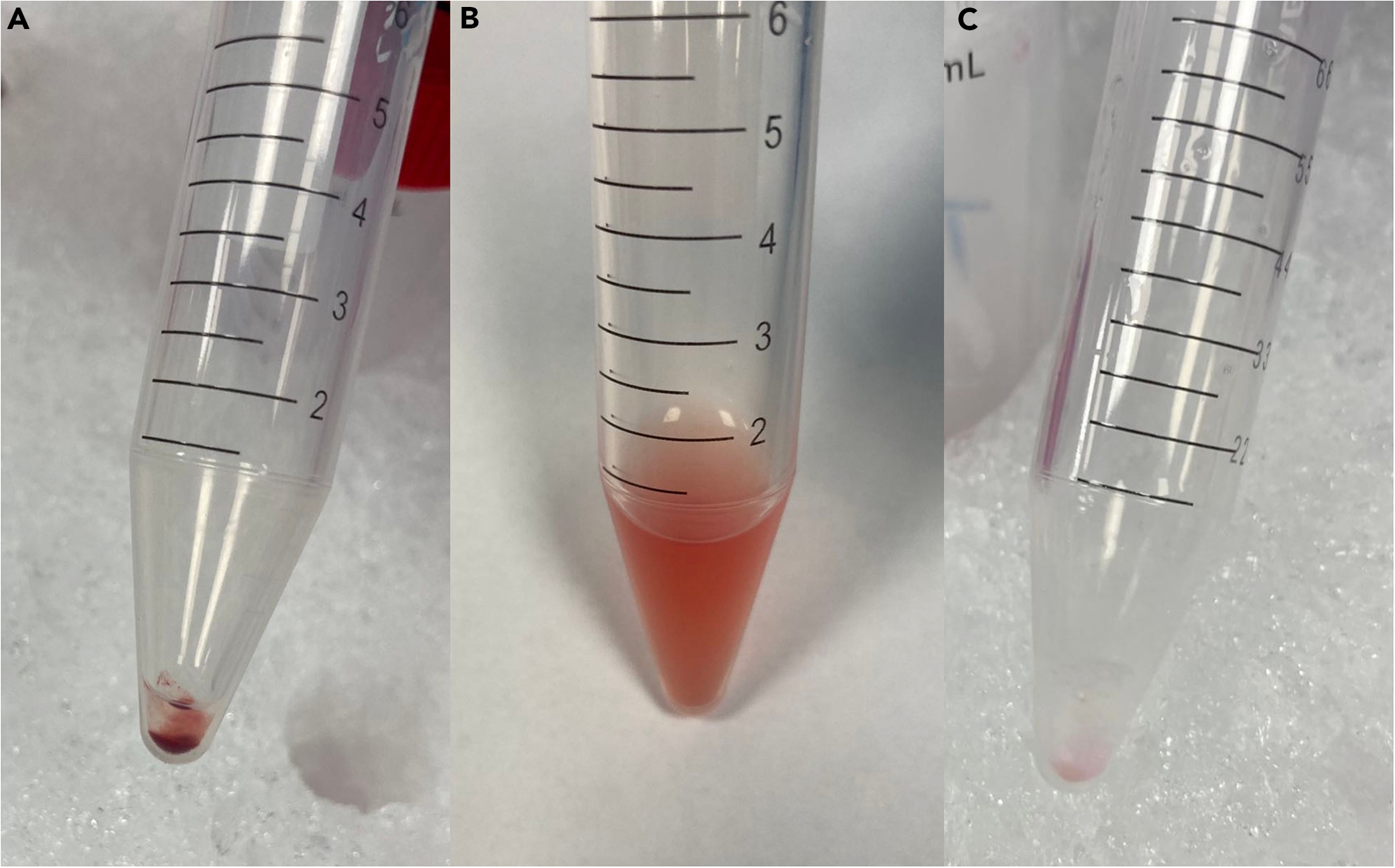 Cell Press: STAR Protocols