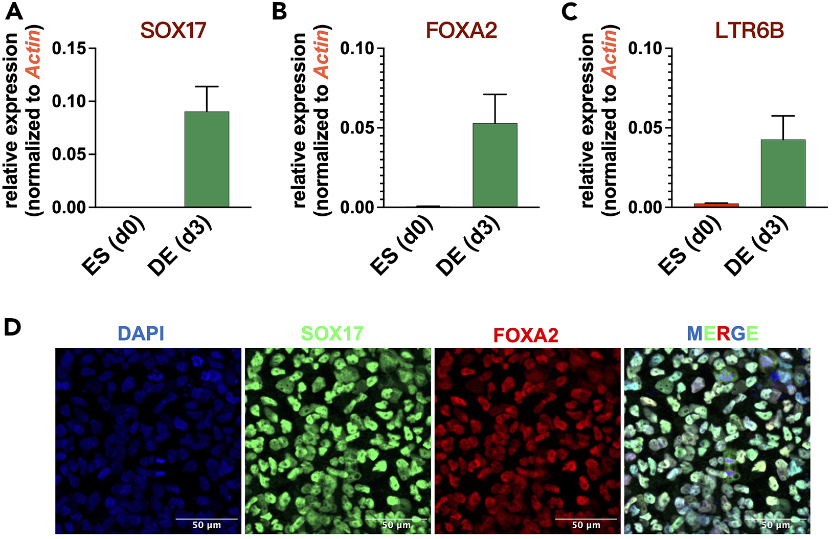 Cell Press: STAR Protocols