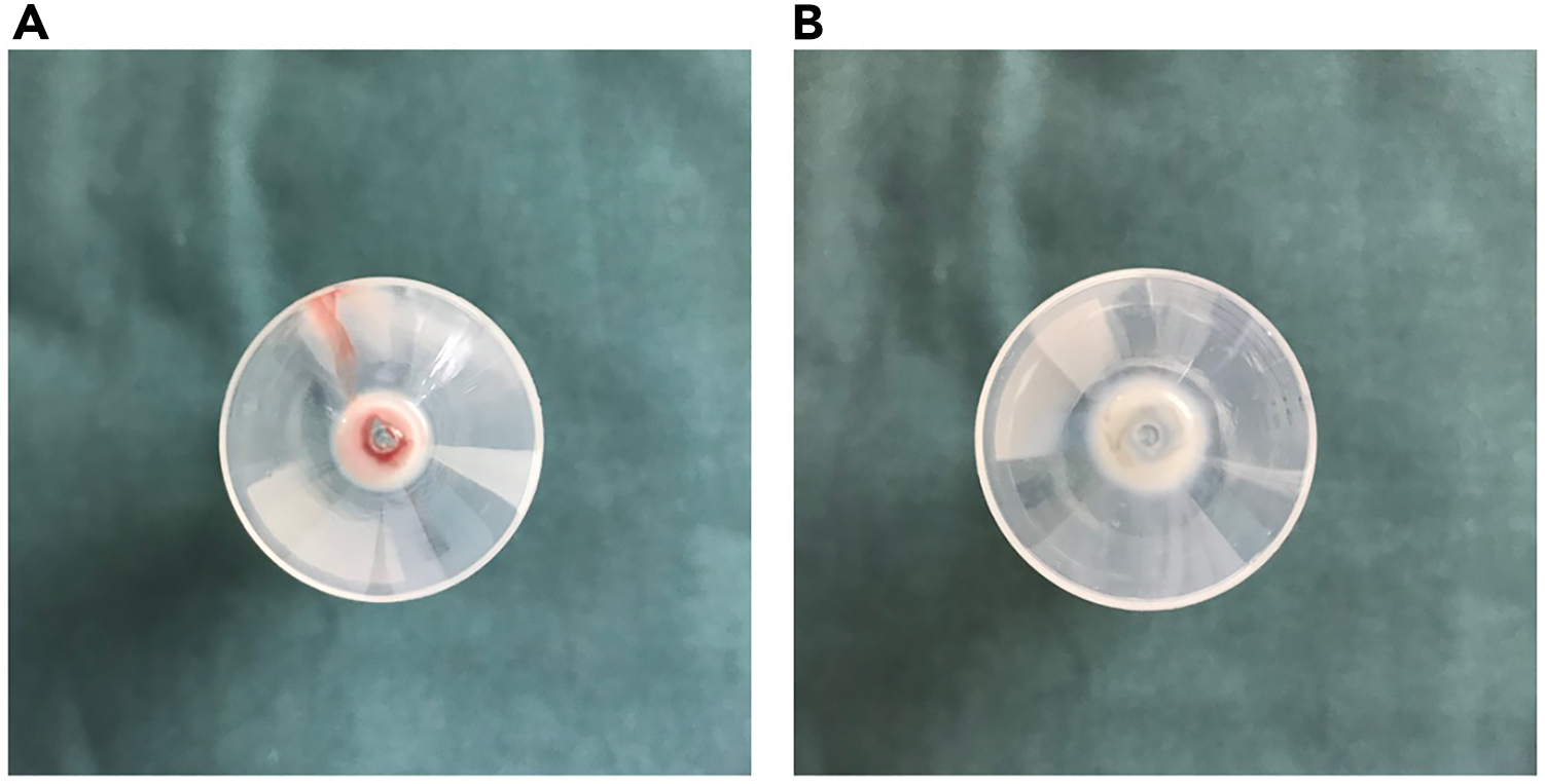 Cell Press: STAR Protocols