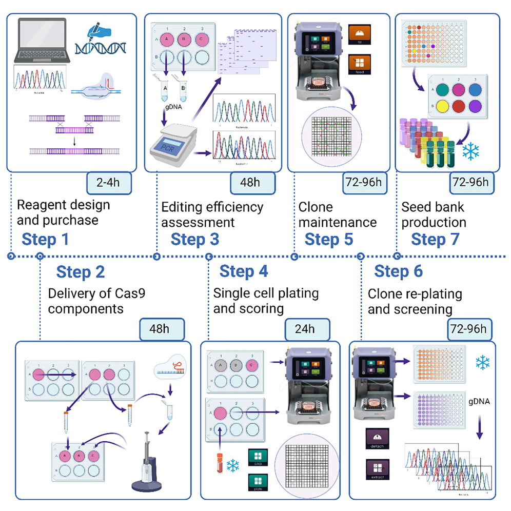 Cell Press: STAR Protocols