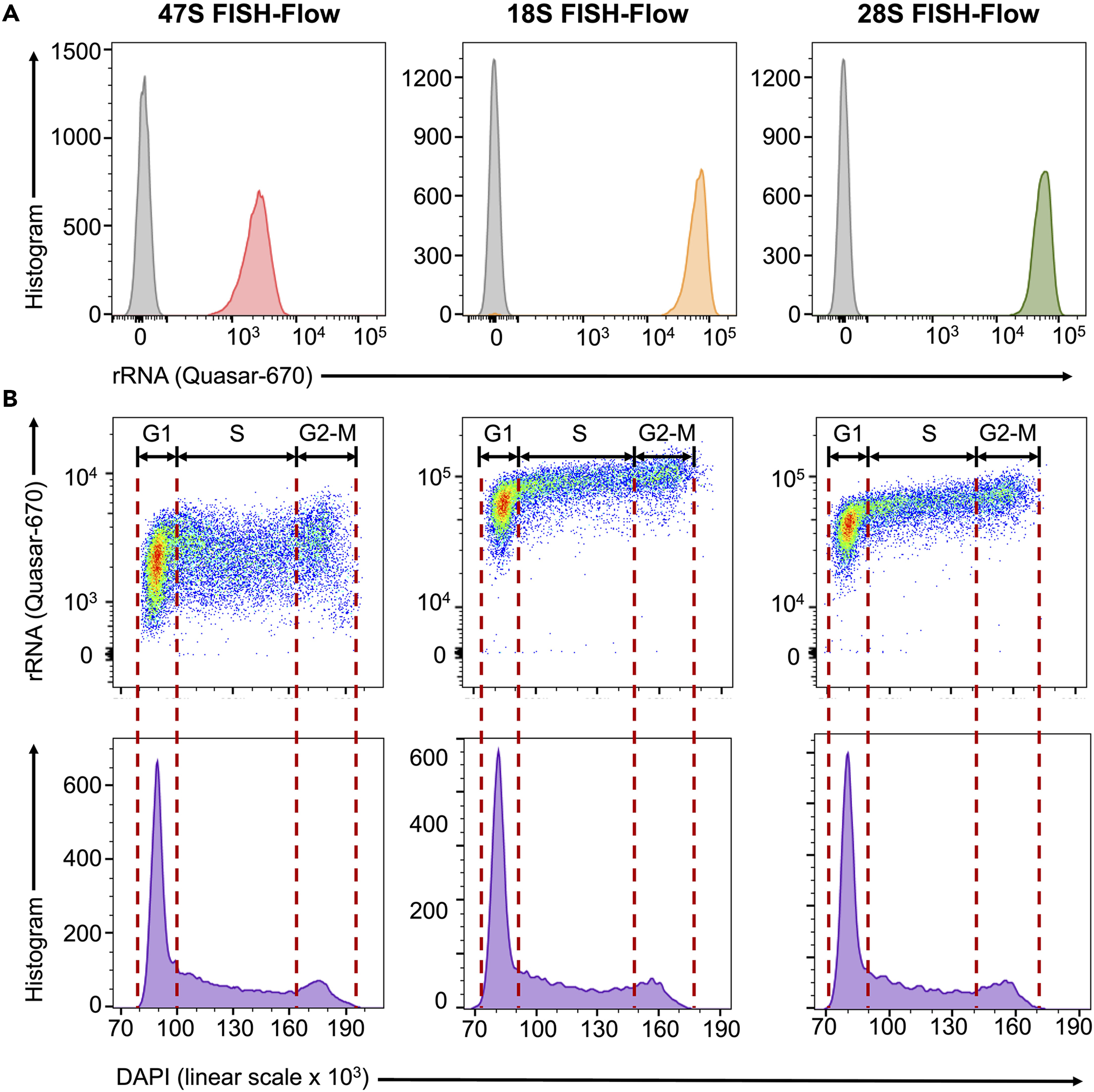 Cell Press: STAR Protocols