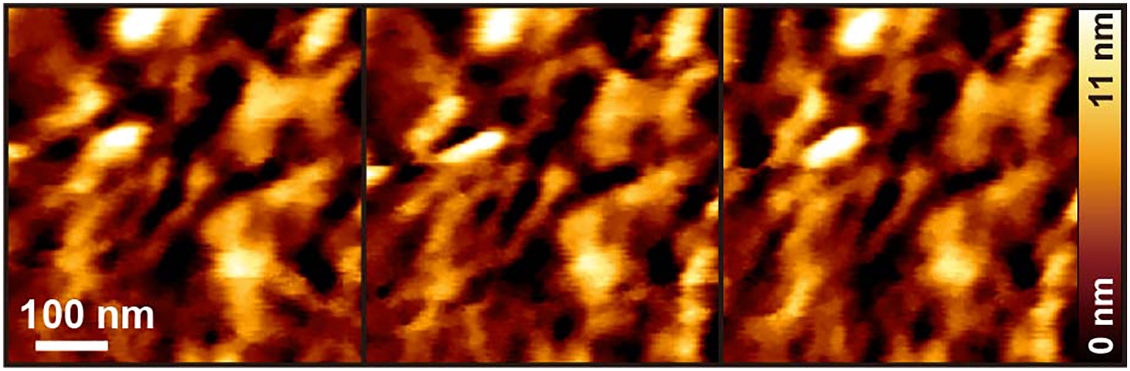 Cell Press: STAR Protocols