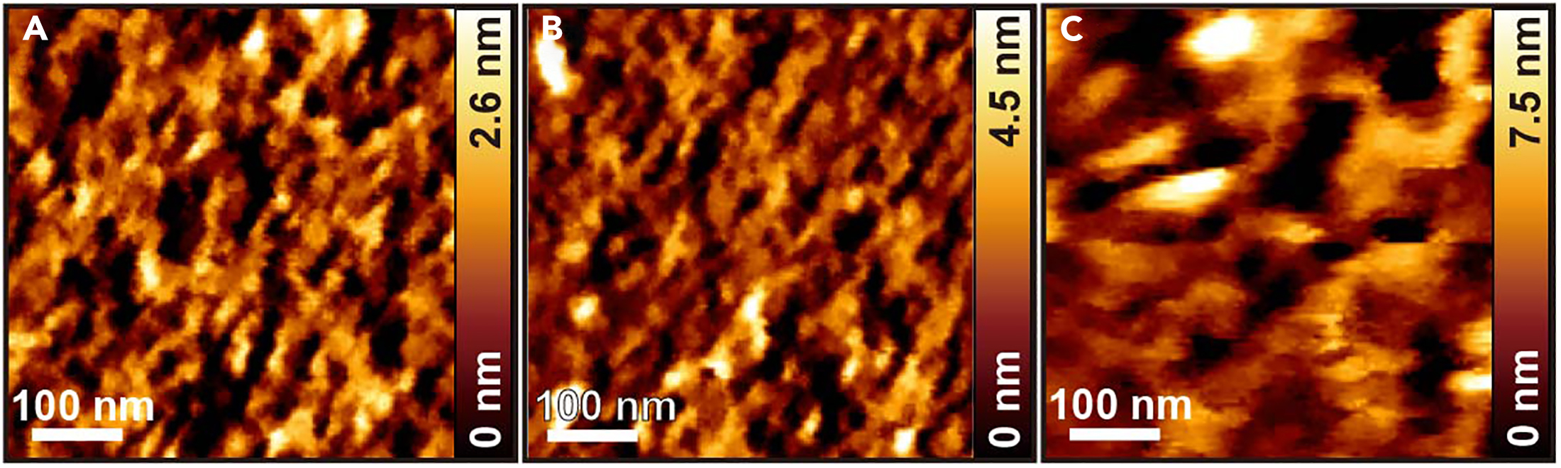 Cell Press: STAR Protocols