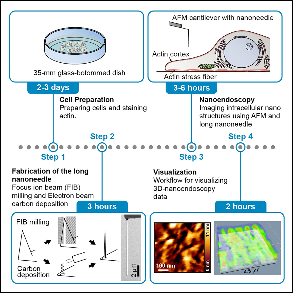 Cell Press: STAR Protocols