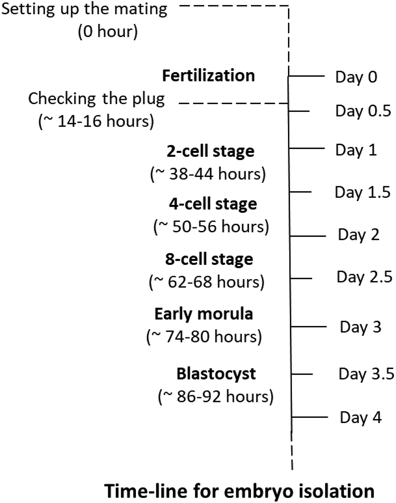 Cell Press: STAR Protocols