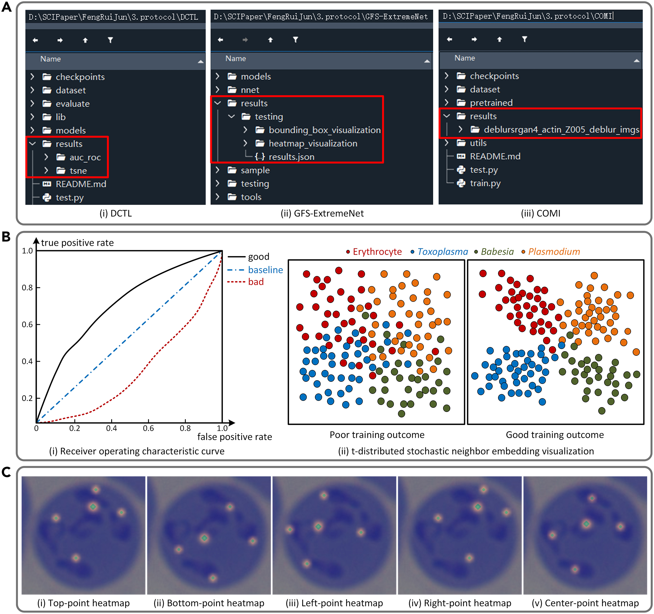 Cell Press: STAR Protocols