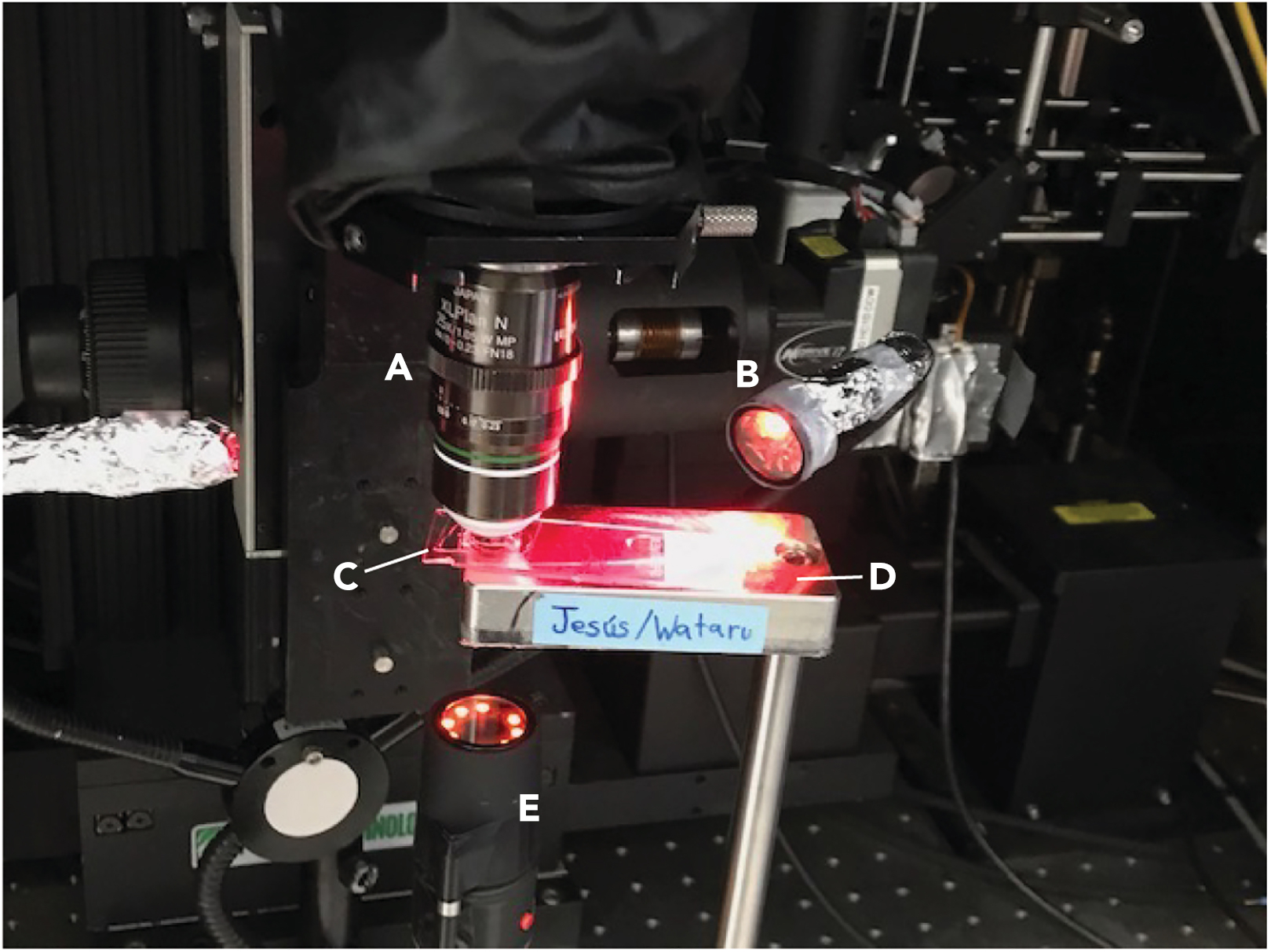 Cell Press: STAR Protocols
