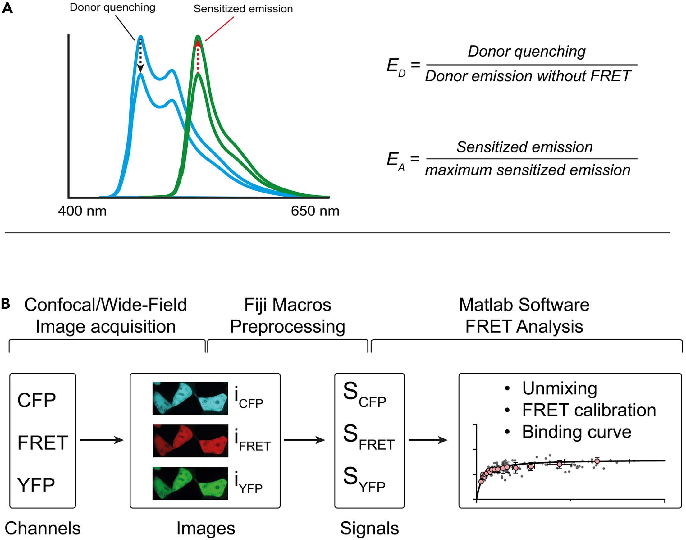 Cell Press: STAR Protocols