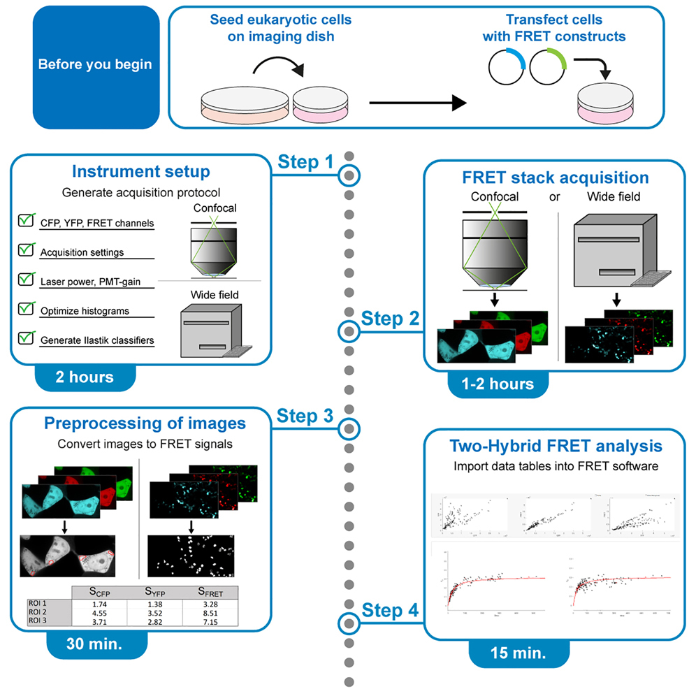 Cell Press: STAR Protocols
