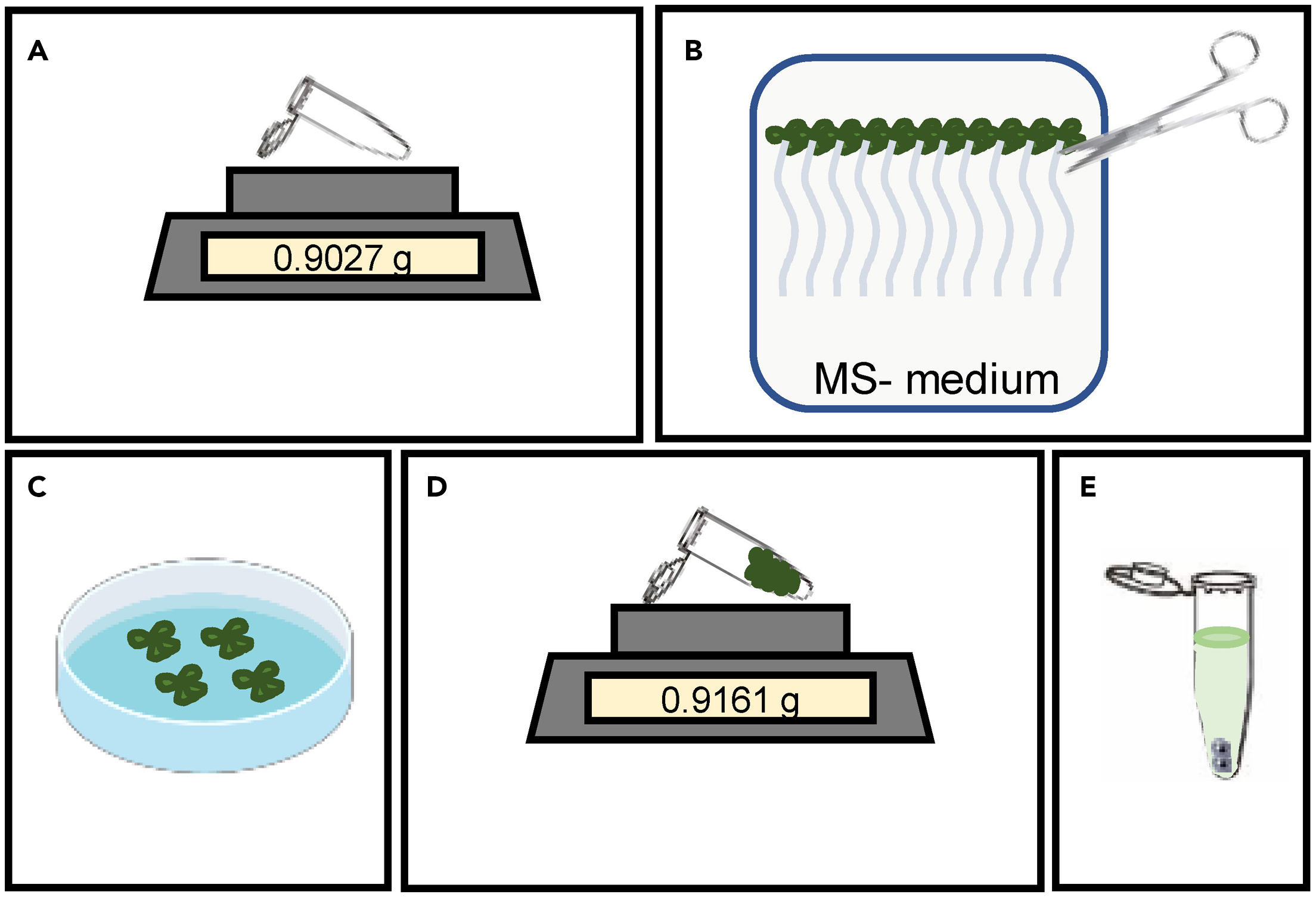 Cell Press: STAR Protocols