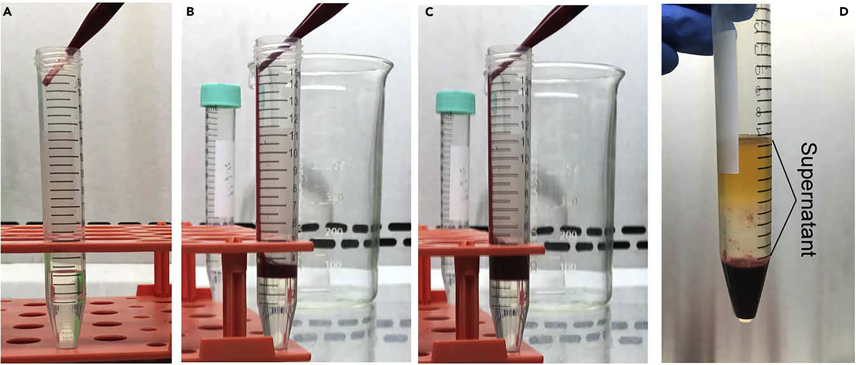 Cell Press: STAR Protocols