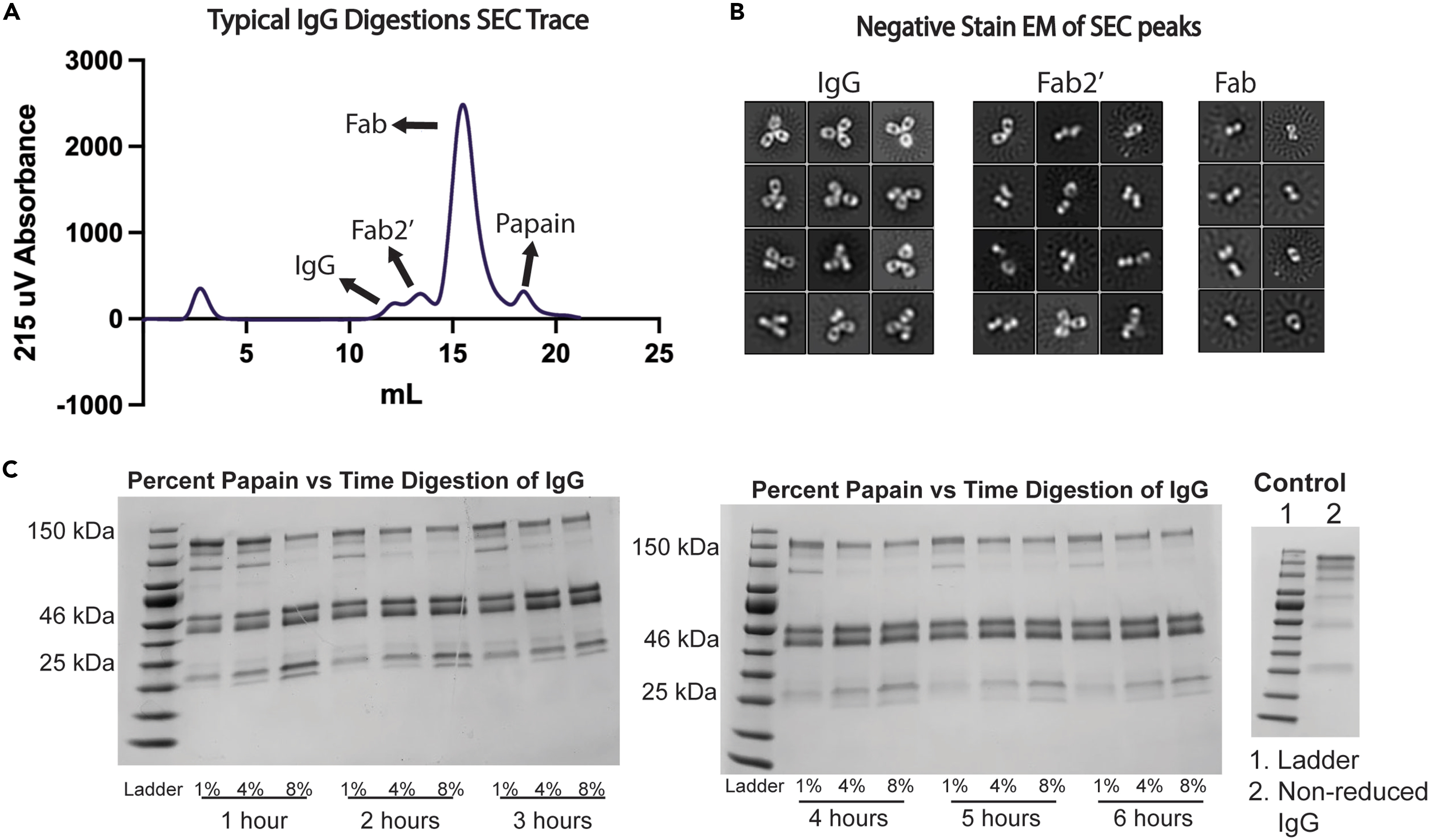 Cell Press: STAR Protocols