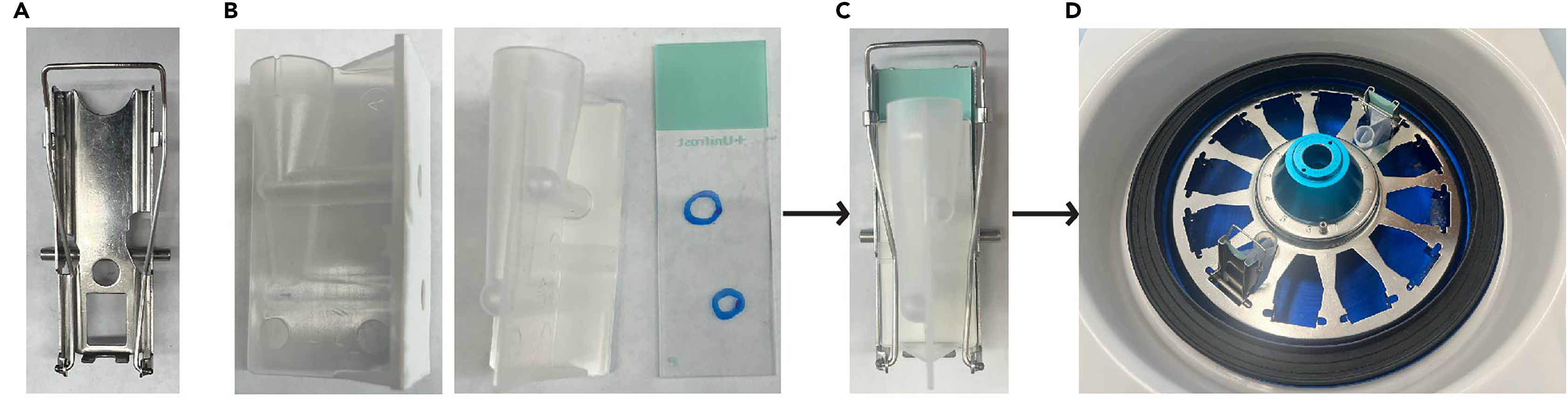 Cell Press: STAR Protocols