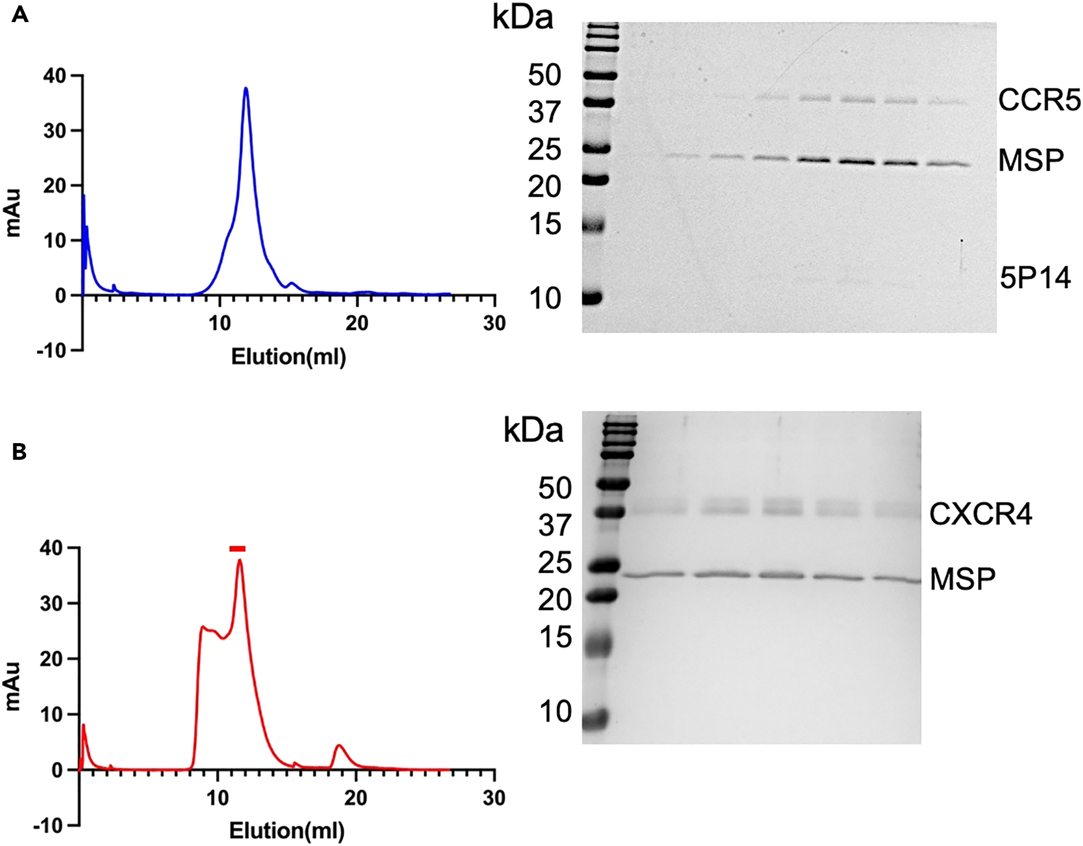 Cell Press: STAR Protocols