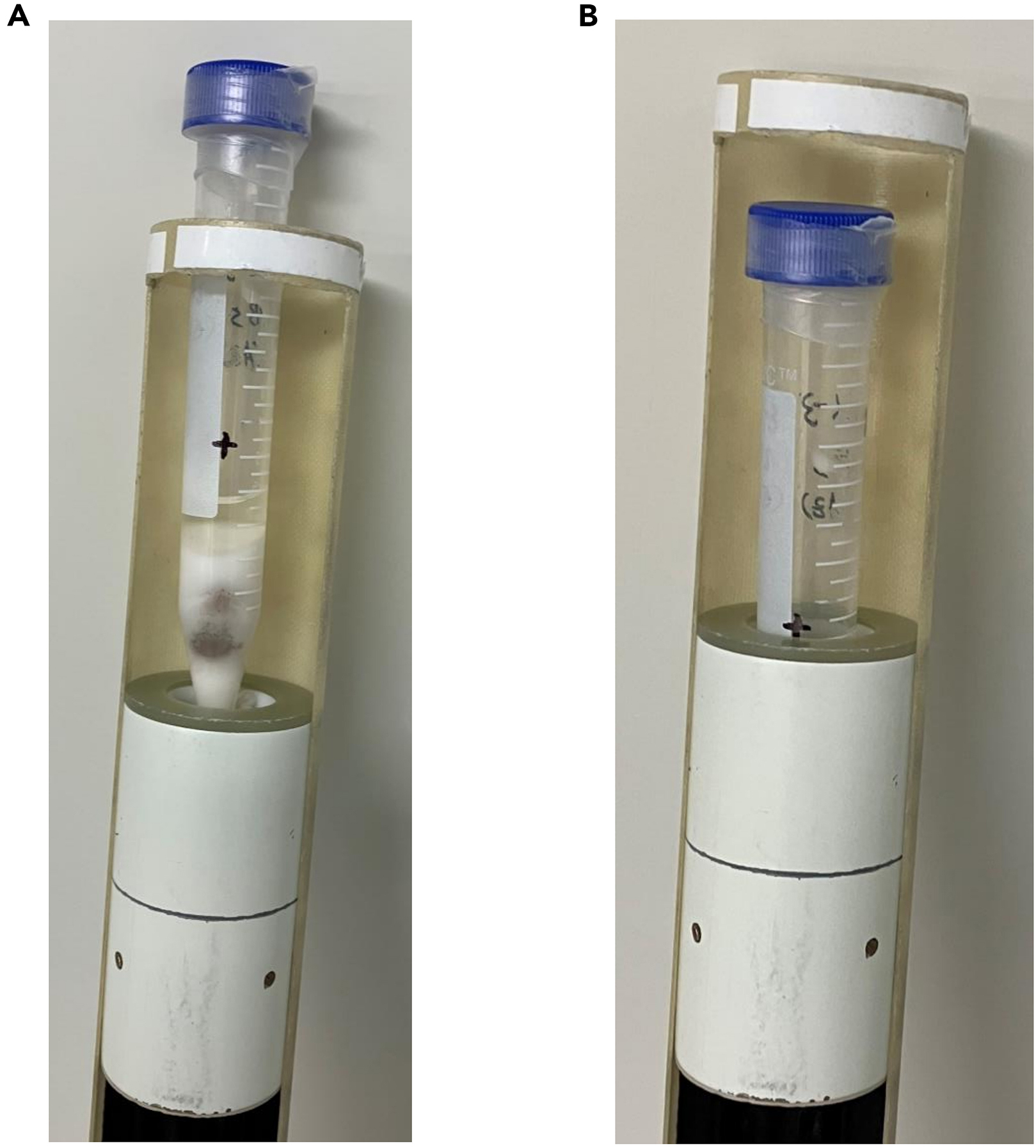 Cell Press: STAR Protocols